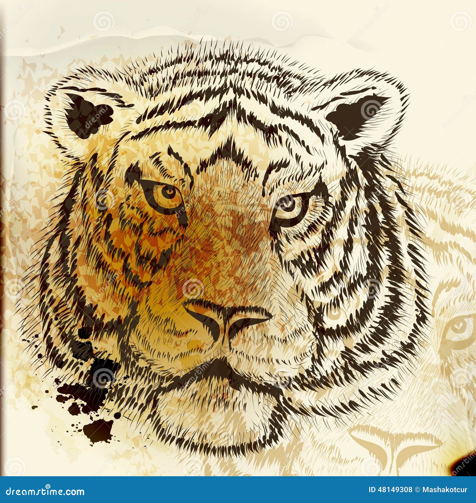 Hand drawn tiger portrait stock vector. Illustration of design - 48149308