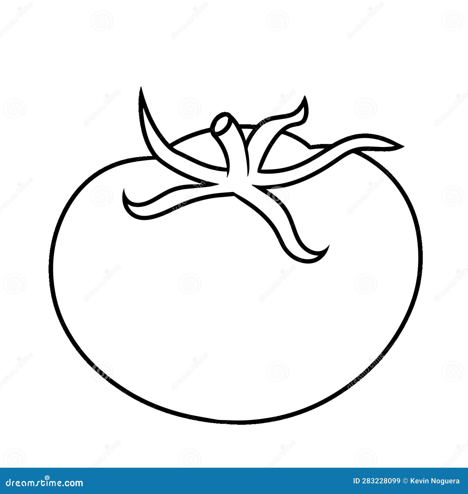 Hand Drawn Tomato Coloring Book Illustration Stock Vector ...