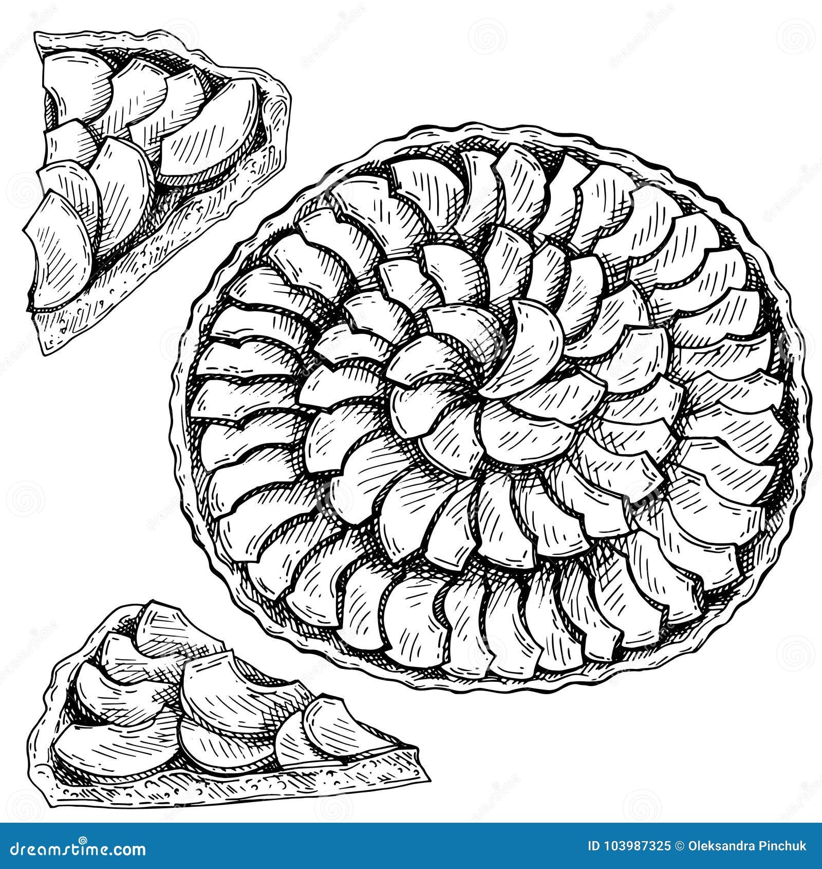 Sketch Ink apple cake. stock vector. Illustration of piece - 103987325