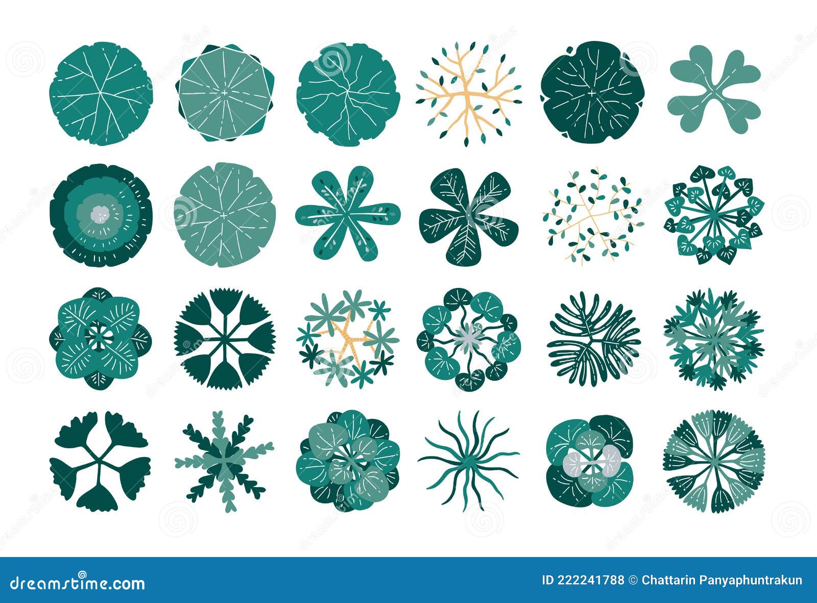 Hand drawn top view tree stock vector. Illustration of cartoon - 222241788