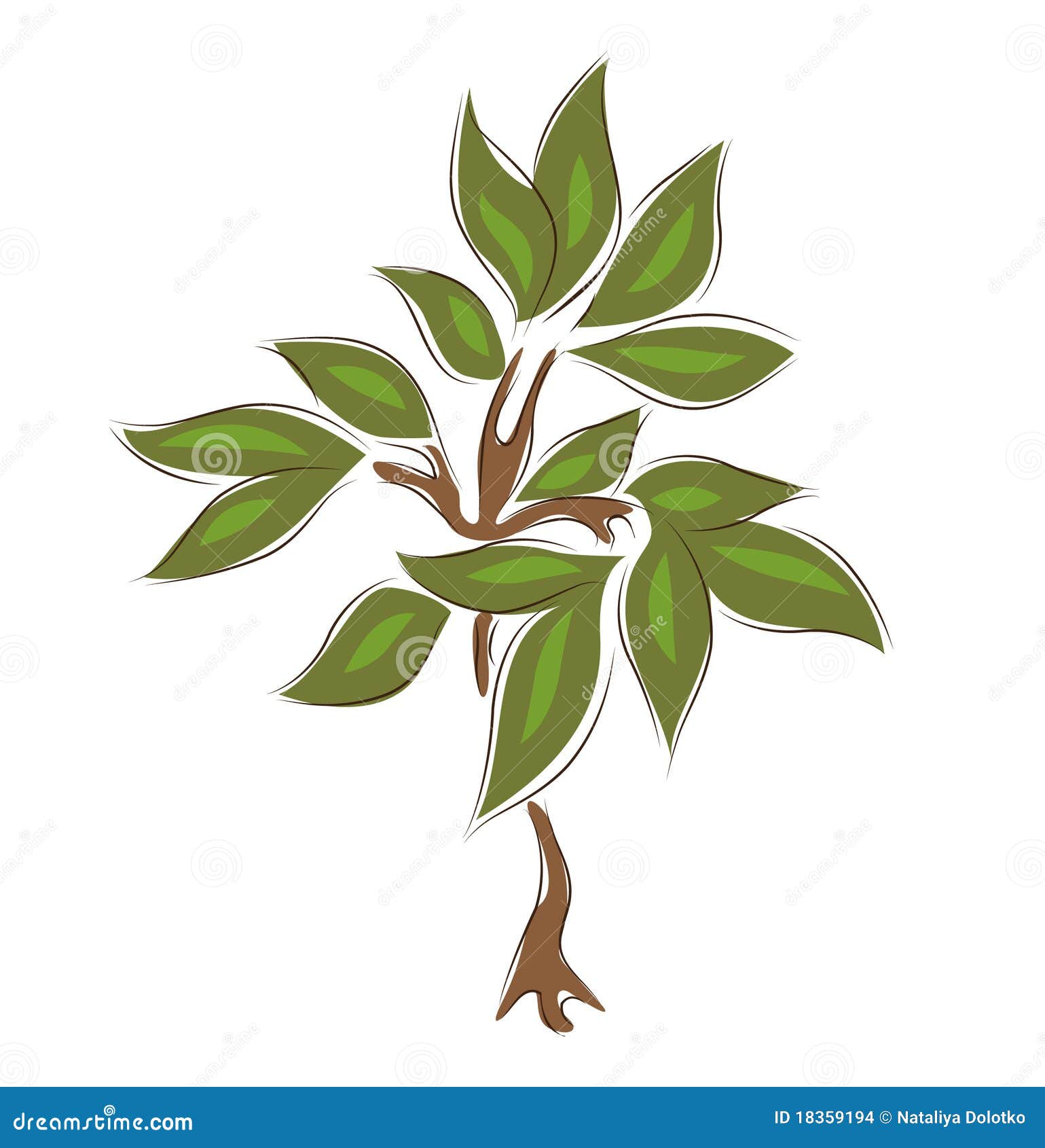 Hand drawn tree stock vector. Illustration of botanical - 18359194