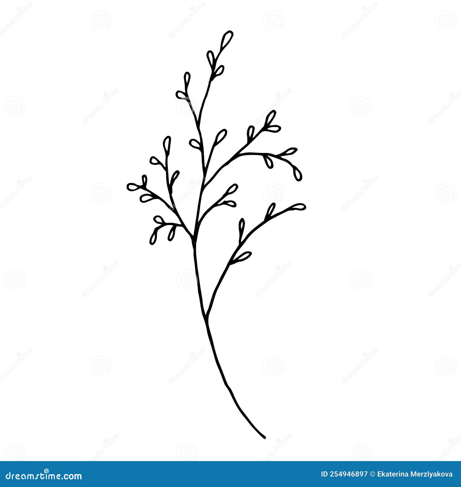 Hand Drawn Tree Branch with Leaves, Vector Doodle Stock Vector ...