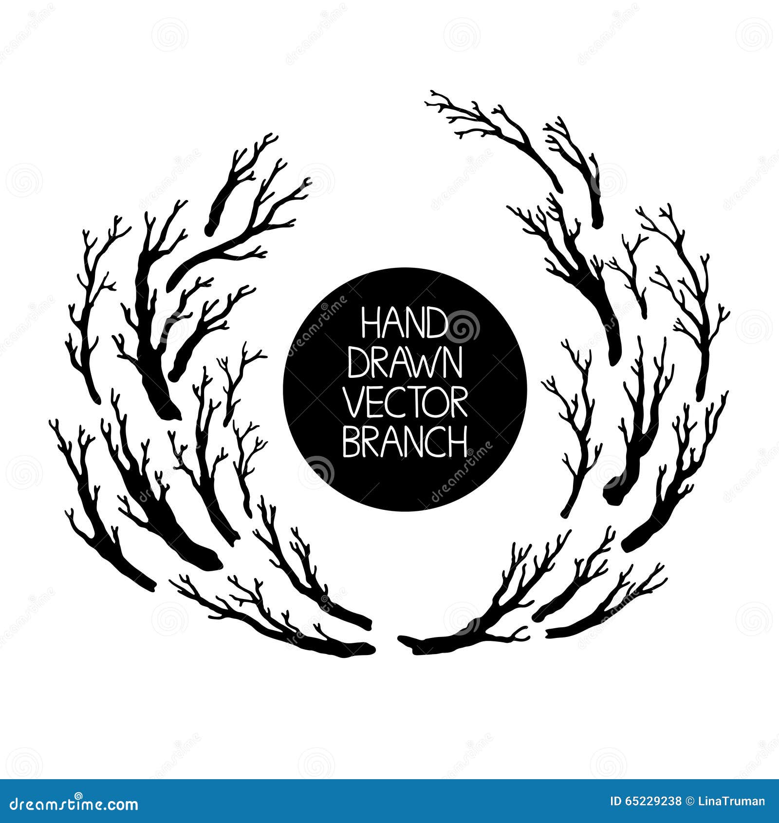 Hand Drawn Tree Branches Set, Branches Round Frame. Vector Stock Vector ...