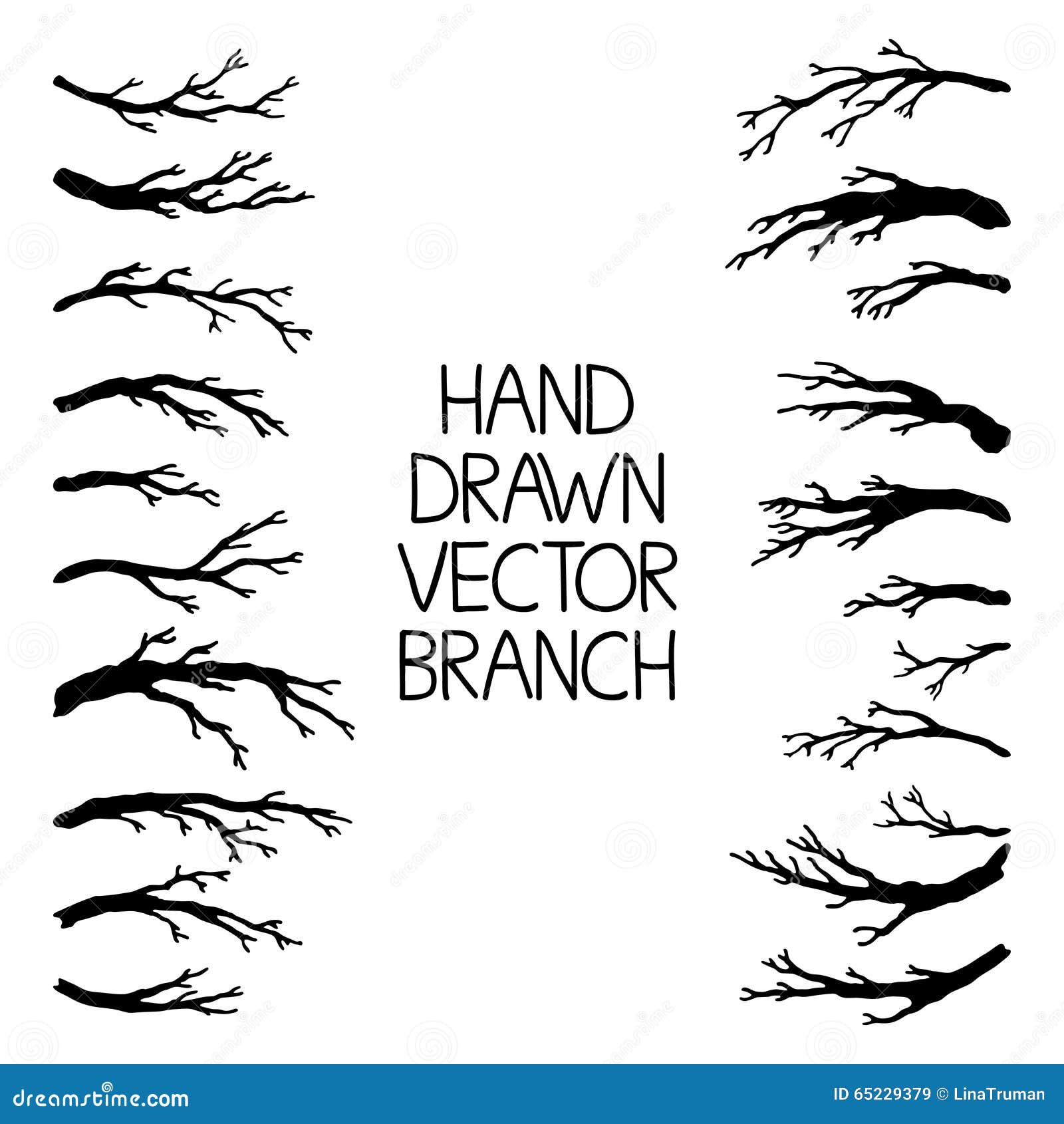 Hand Drawn Tree Branches Set, Vector Illustration. Stock Vector ...