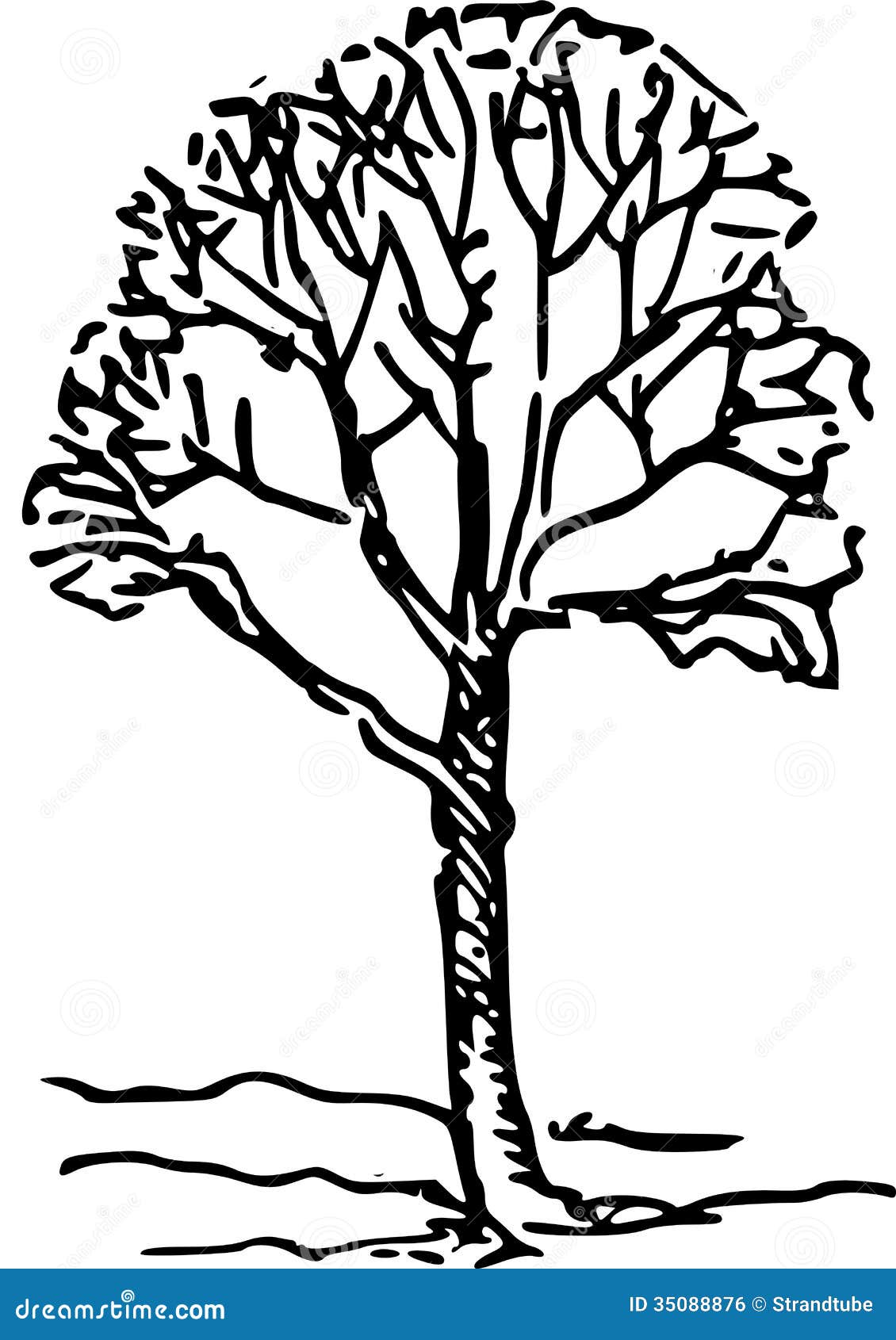 Hand Drawn Tree stock illustration. Illustration of drawn - 35088876