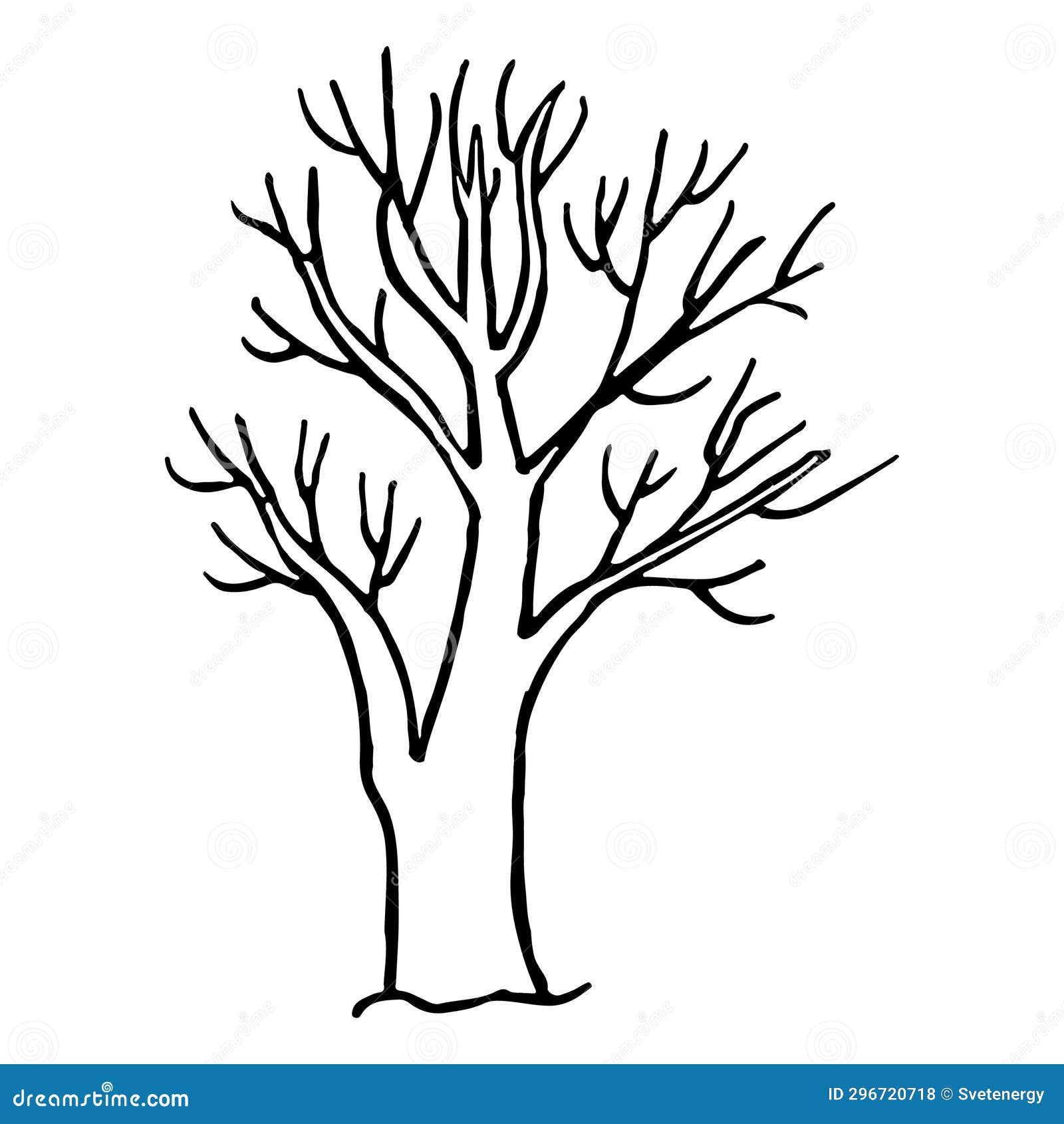 Hand Drawn Tree without Leaves Isolated on White Background. Vector ...