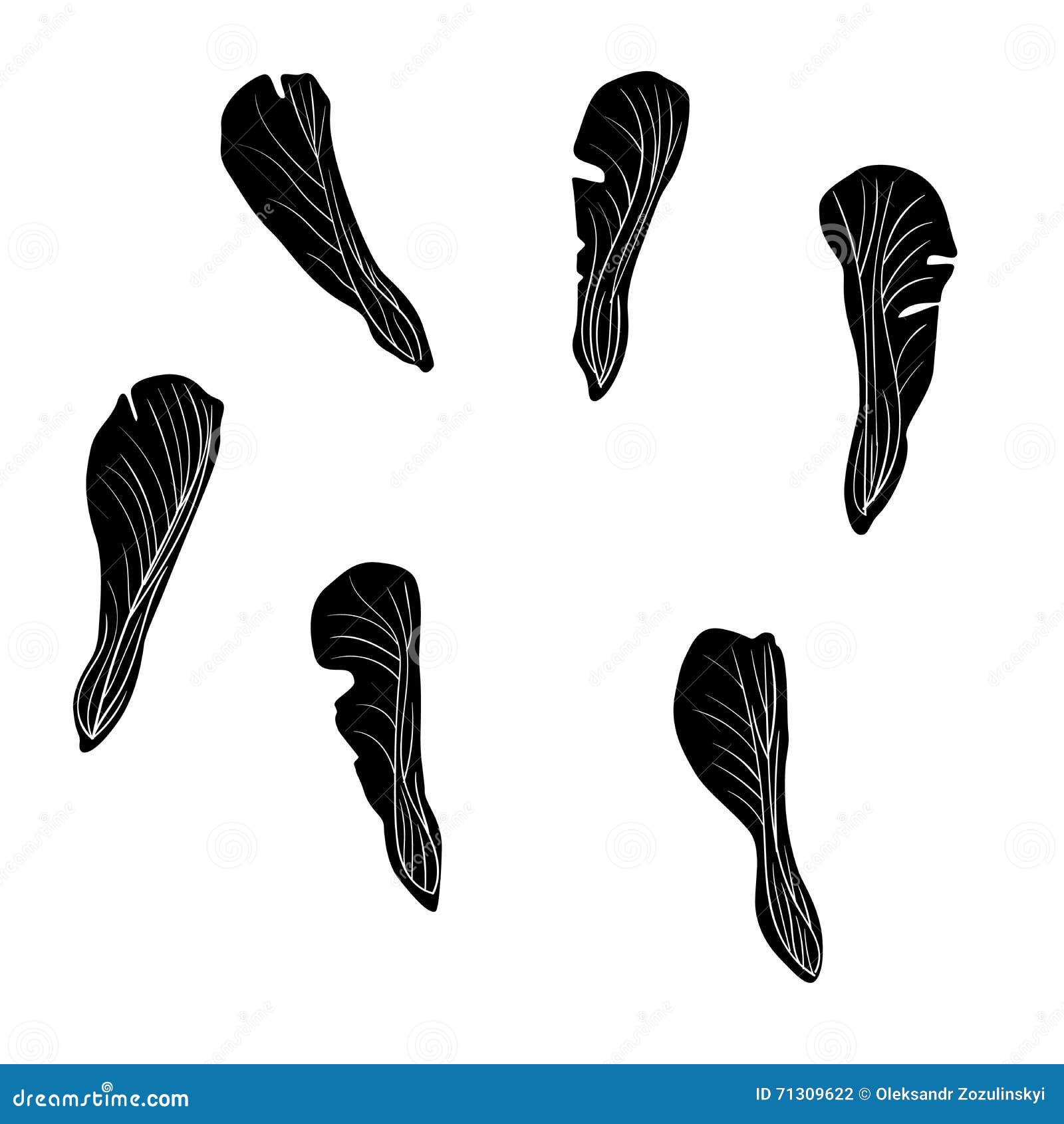 Hand Drawn Tree Plant Seed Sketch Stock Vector - Illustration of autumn ...