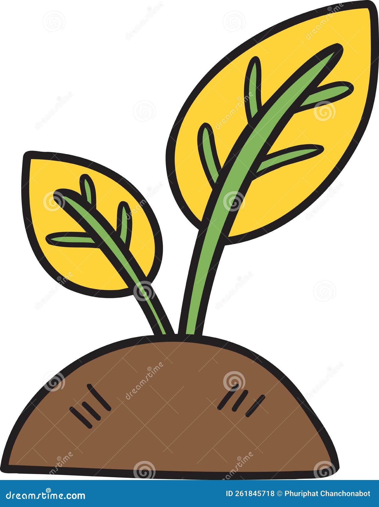 Hand Drawn Tree Sapling Illustration Stock Vector - Illustration of ...