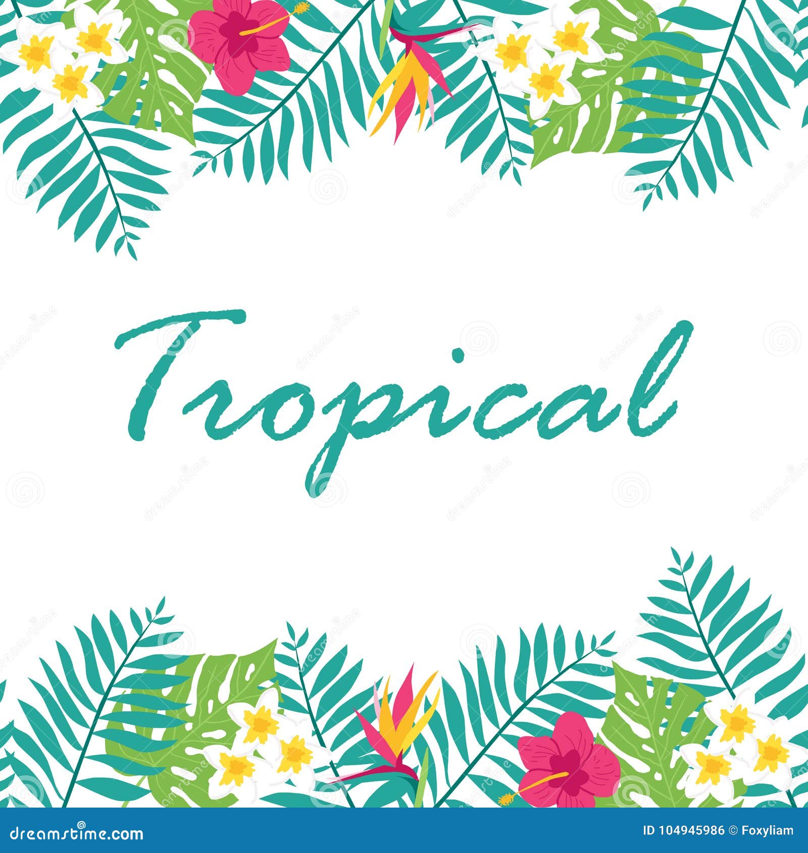 Hand drawn tropic frame stock vector. Illustration of element - 104945986
