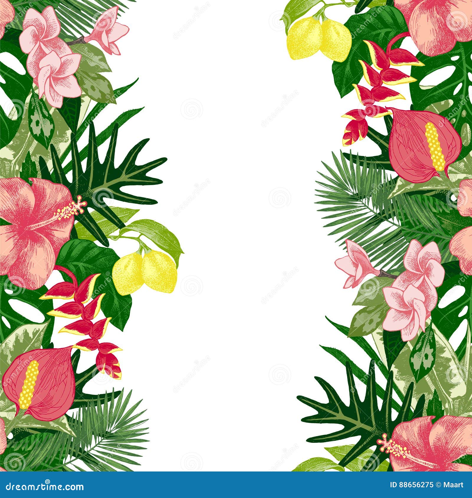 Hand Drawn Tropical Background Cartoon Vector | CartoonDealer.com #88656275