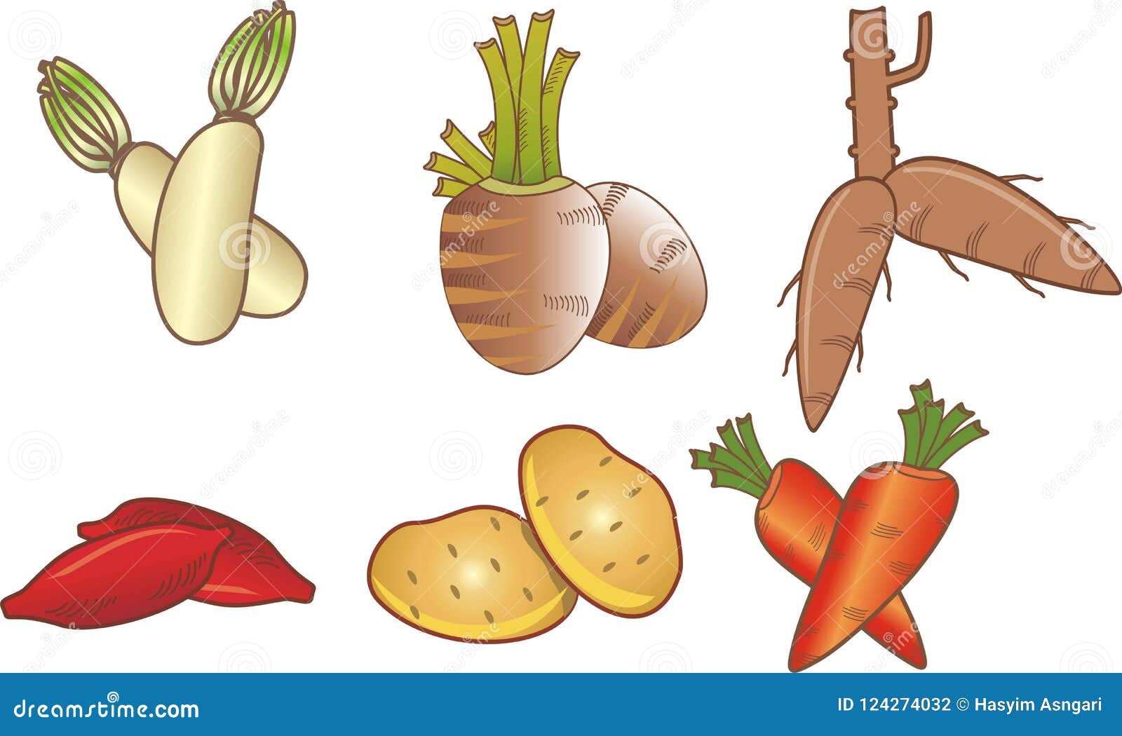 Tuber Collection Vector Illustration | CartoonDealer.com #23807290