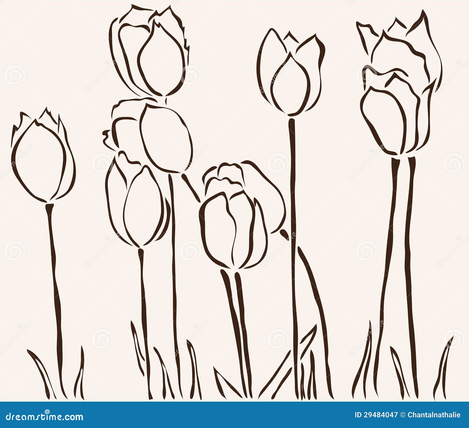 Hand drawn tulips stock vector. Illustration of creative - 29484047