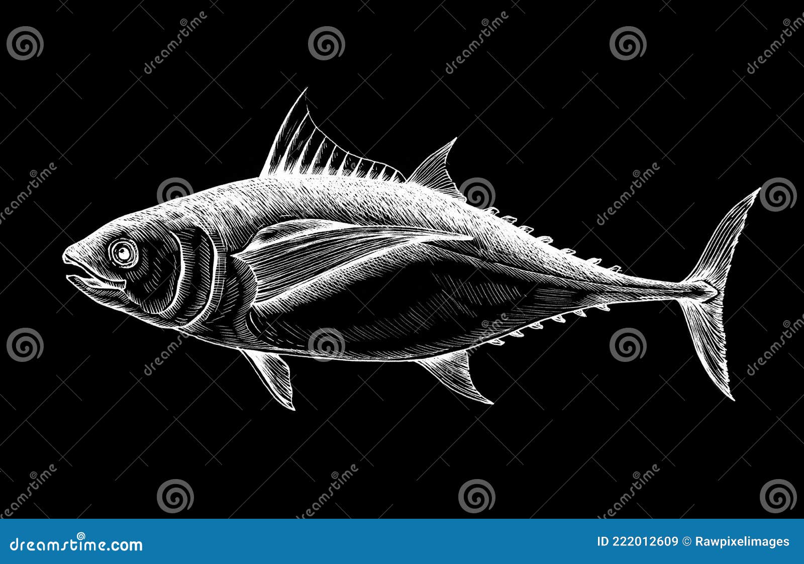 Hand drawn tuna fish stock illustration. Illustration of menu - 222012609