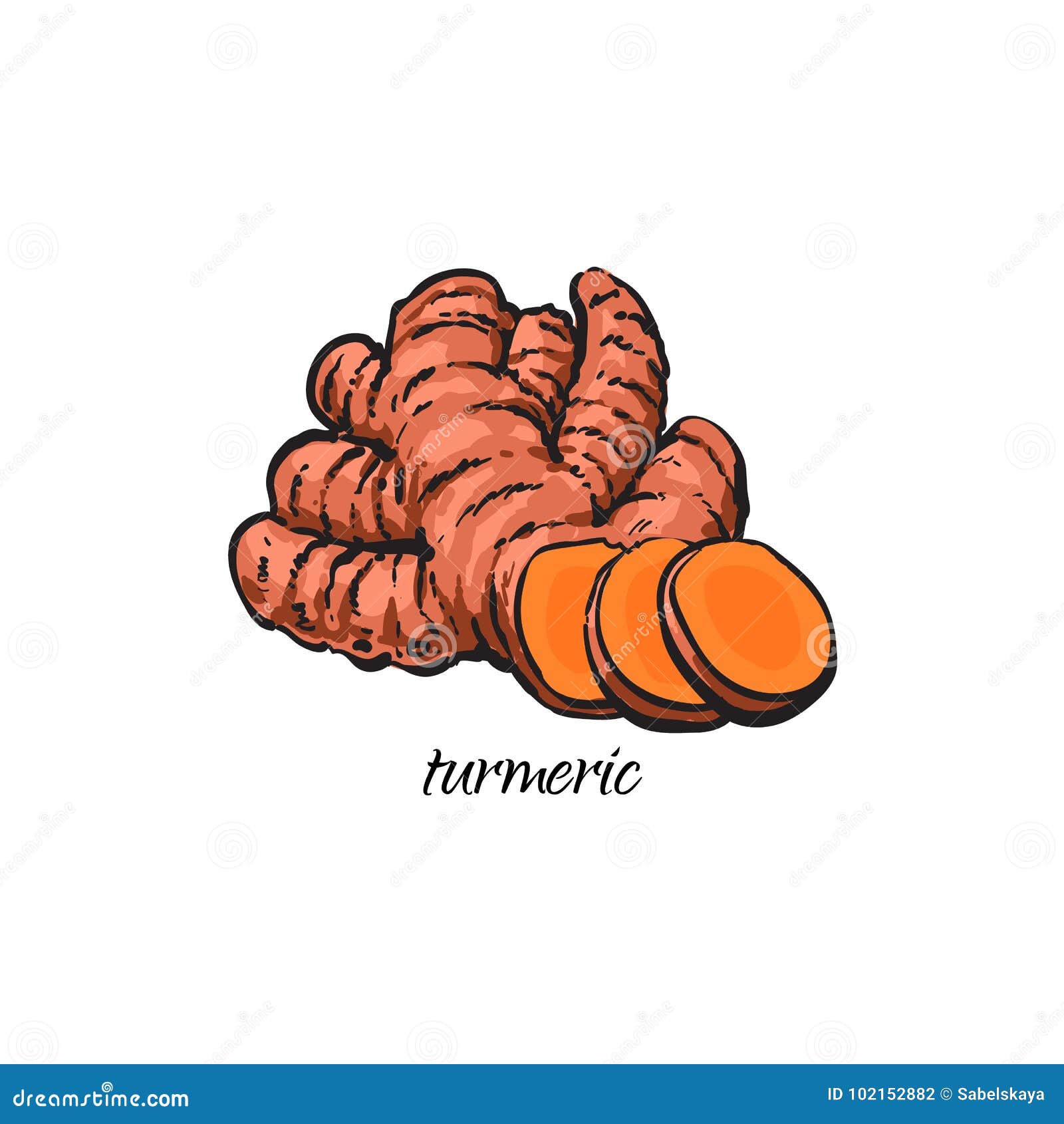 Hand Drawn Turmeric, Curcuma Root with Caption Stock Vector ... Hand Drawn Turmeric, Curcuma Root with Caption Stock Vector ...