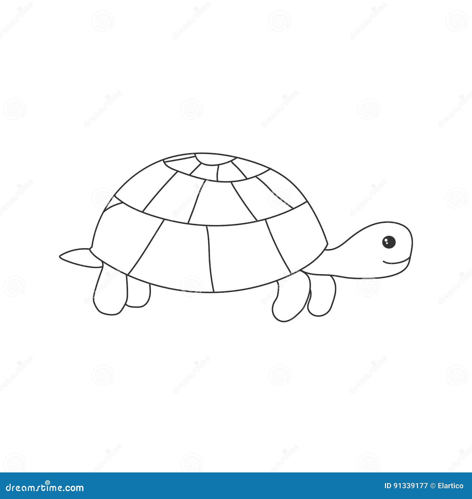 Hand drawn turtle. stock vector. Illustration of linear - 91339177