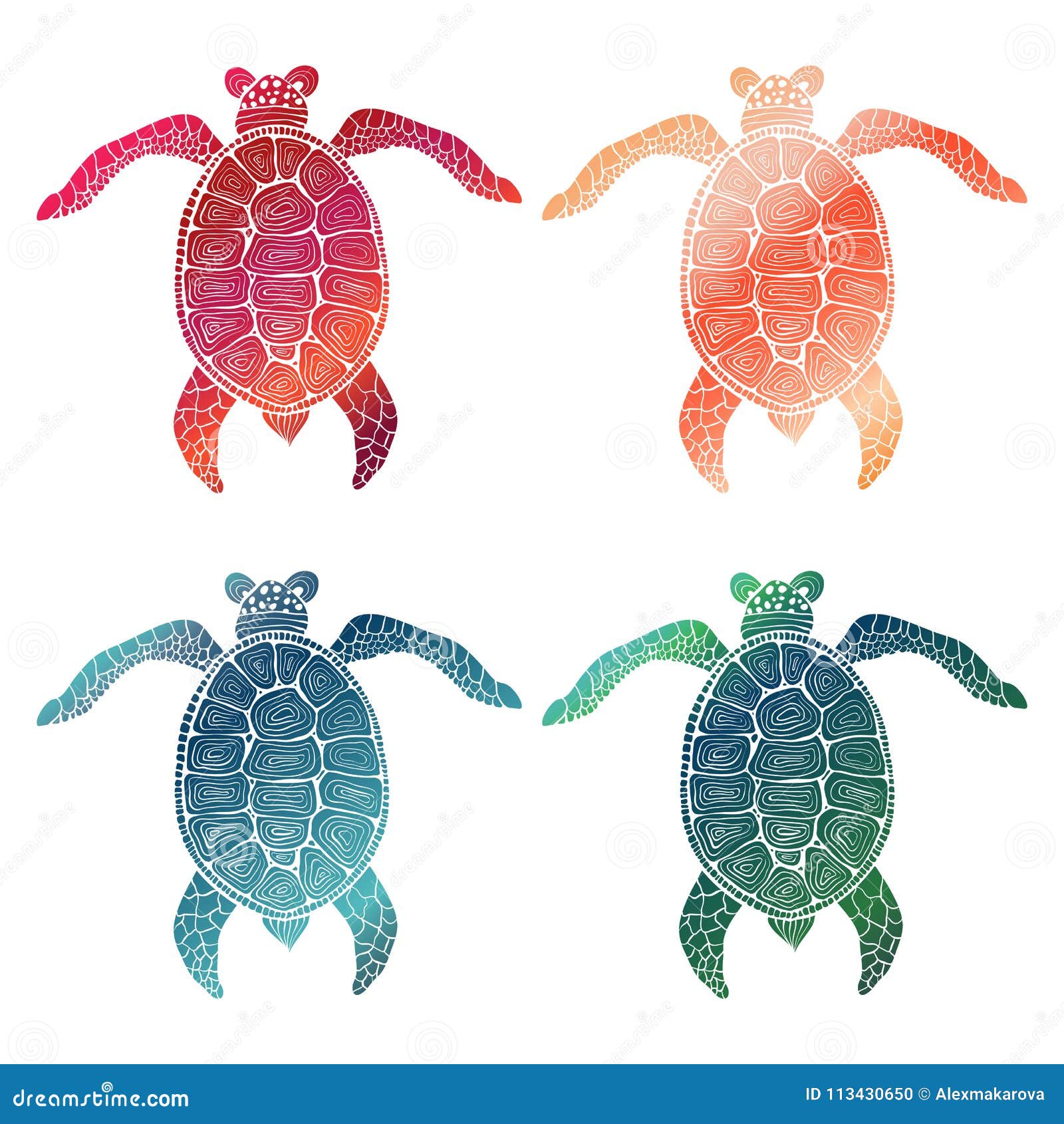4 hand drawn turtles stock vector. Illustration of marine - 113430650