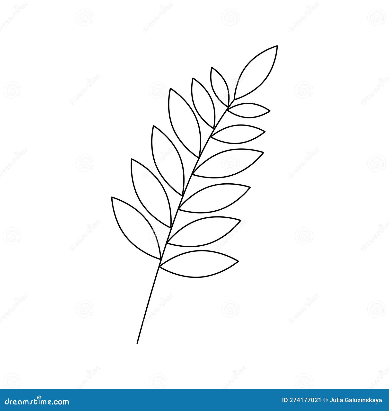 Hand Drawn Twig in Line Art Doodle Style. Stock Vector - Illustration ...