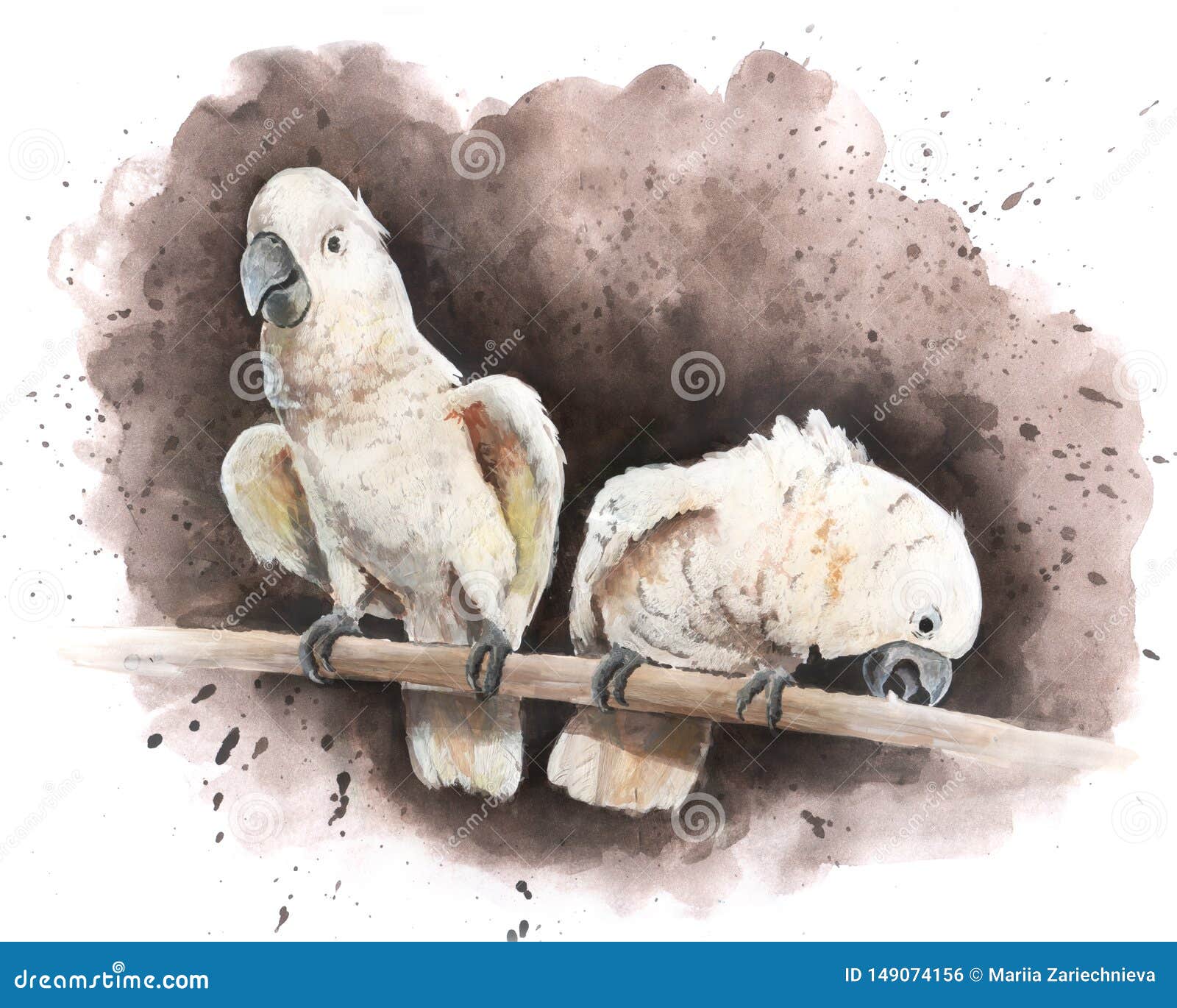 Hand Drawn Two Big White Parrots on a Tree Branch Stock Illustration ...
