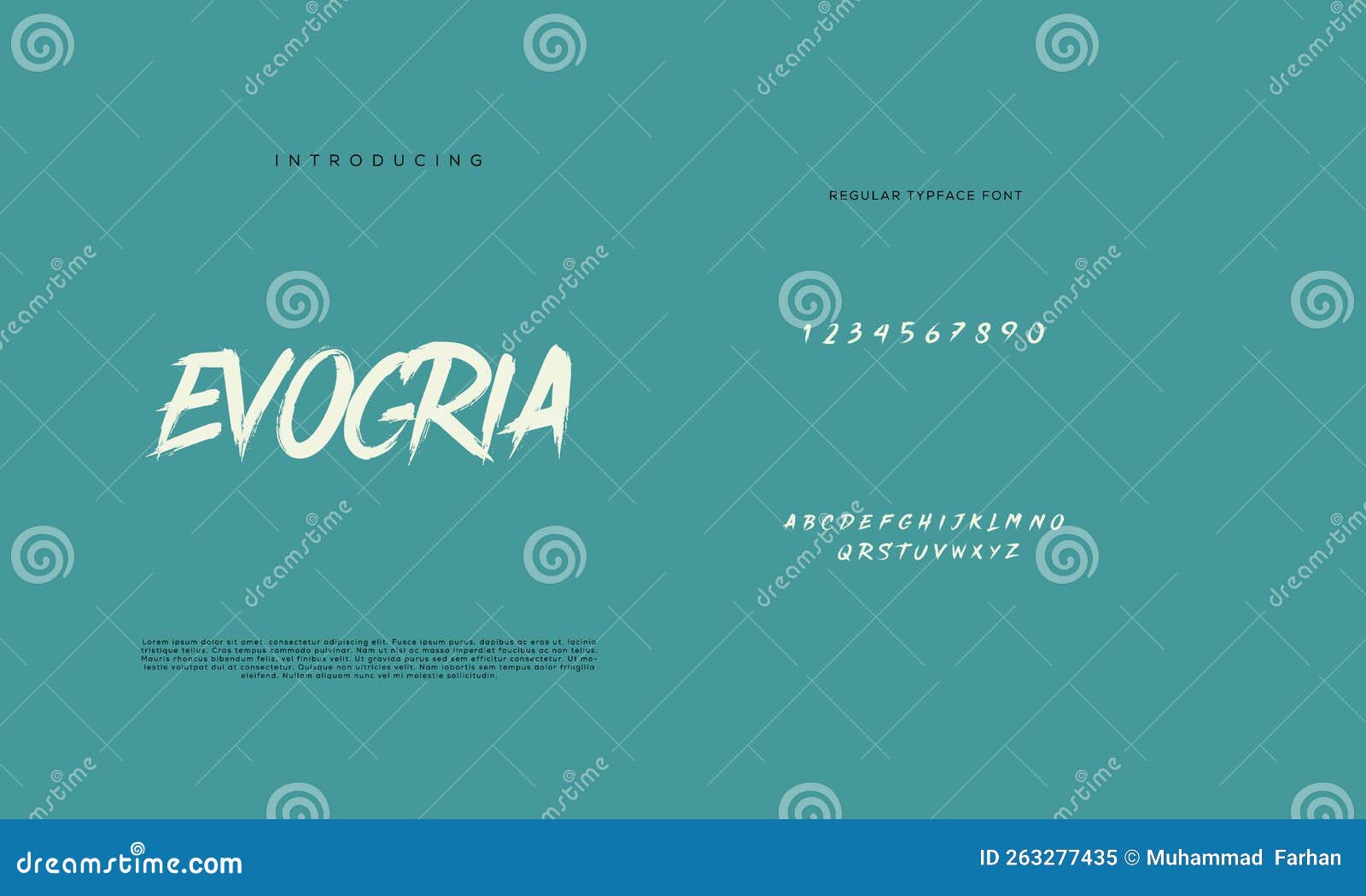 Hand Drawn Typeface Set Isolated on White. Brush Painted Characters ...