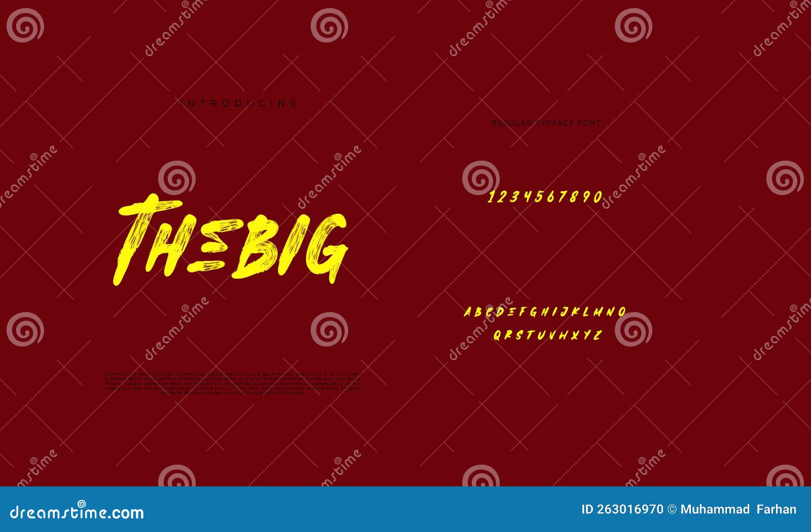 Hand Drawn Typeface Set Isolated on White. Brush Painted Characters ...