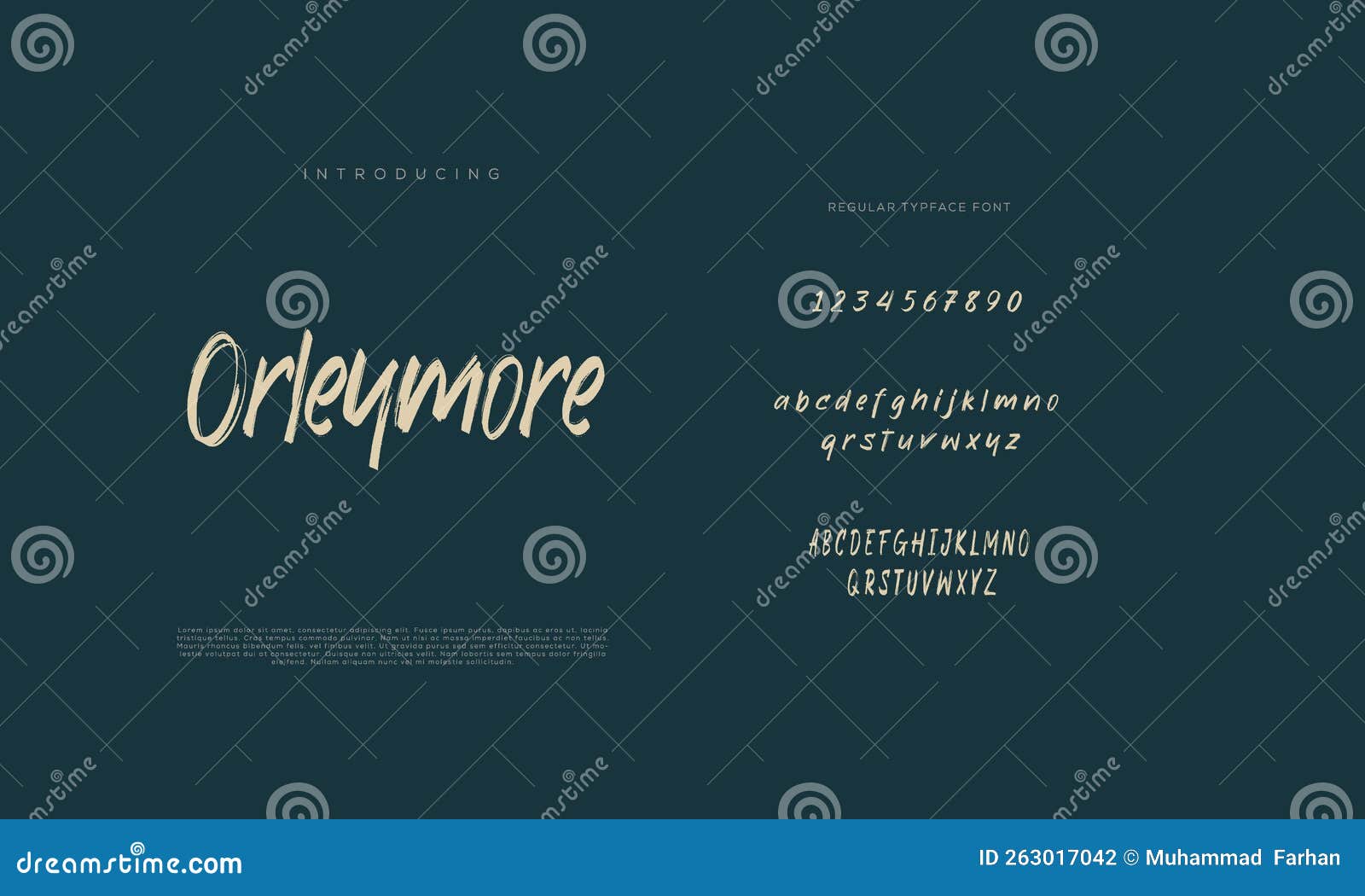 Hand Drawn Typeface Set Isolated on White. Brush Painted Characters ...