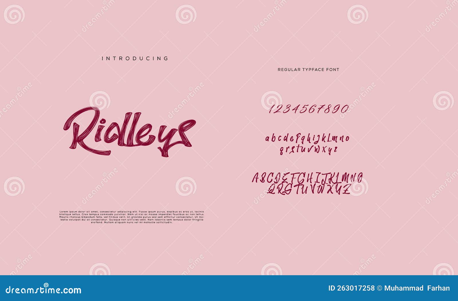 Hand Drawn Typeface Set Isolated on White. Brush Painted Characters ...