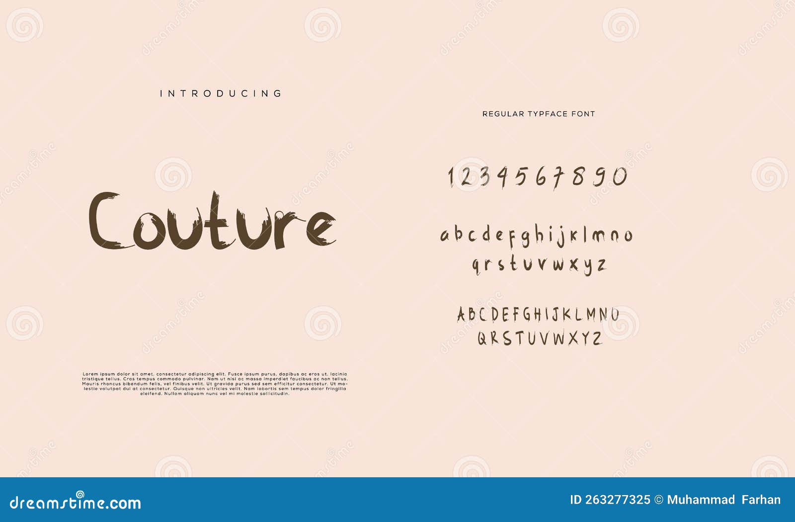 Hand Drawn Typeface Set Isolated on White. Brush Painted Characters ...