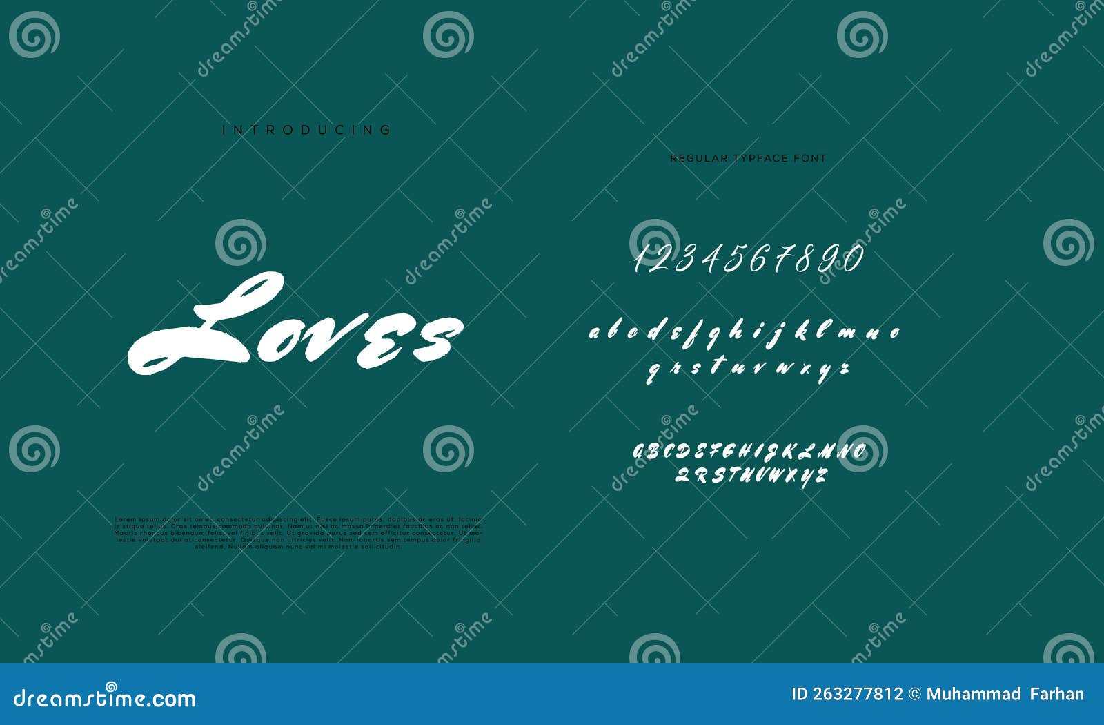 Hand Drawn Typeface Set Isolated on White. Brush Painted Characters ...