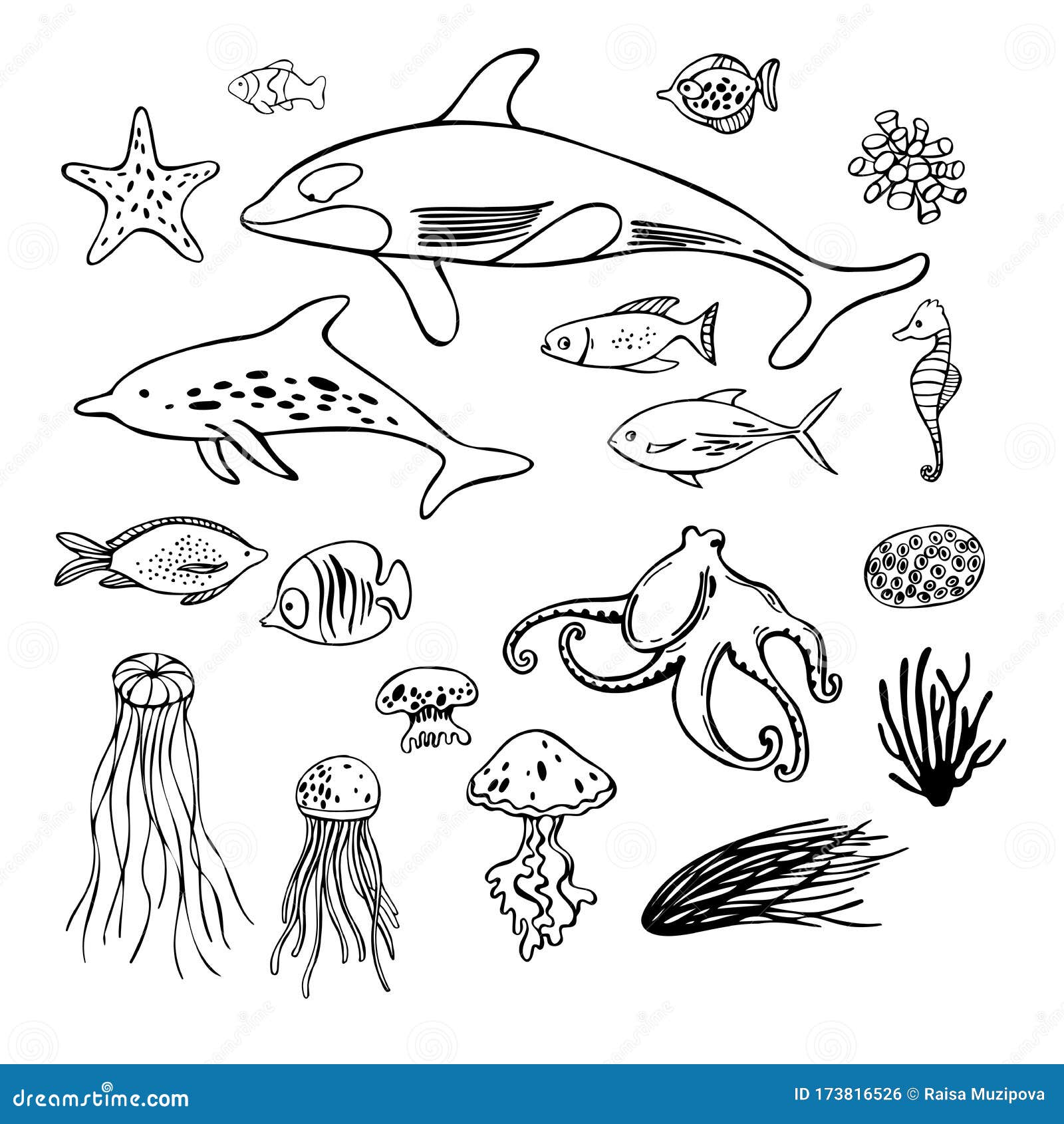 Hand Drawn Underwater World. Vector Illustration Stock Vector ...