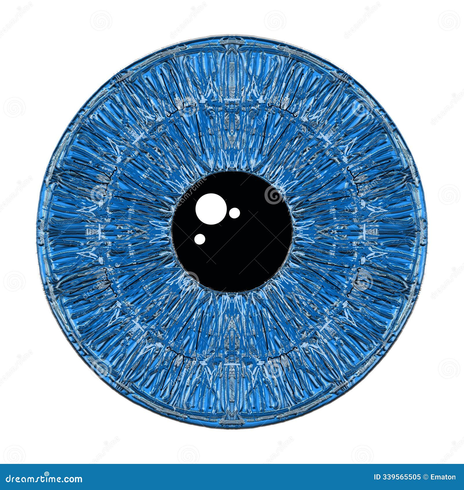 Human Eye Iris Drawing on White Background Stock Illustration ...