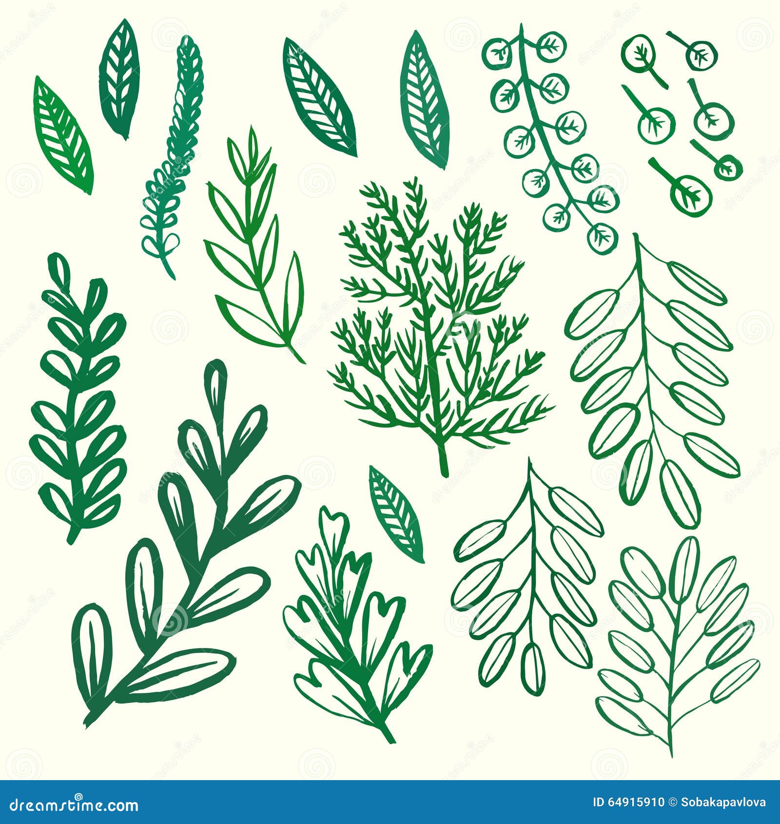 Hand Drawn Various Leaves Set Stock Vector - Illustration of abstract ...