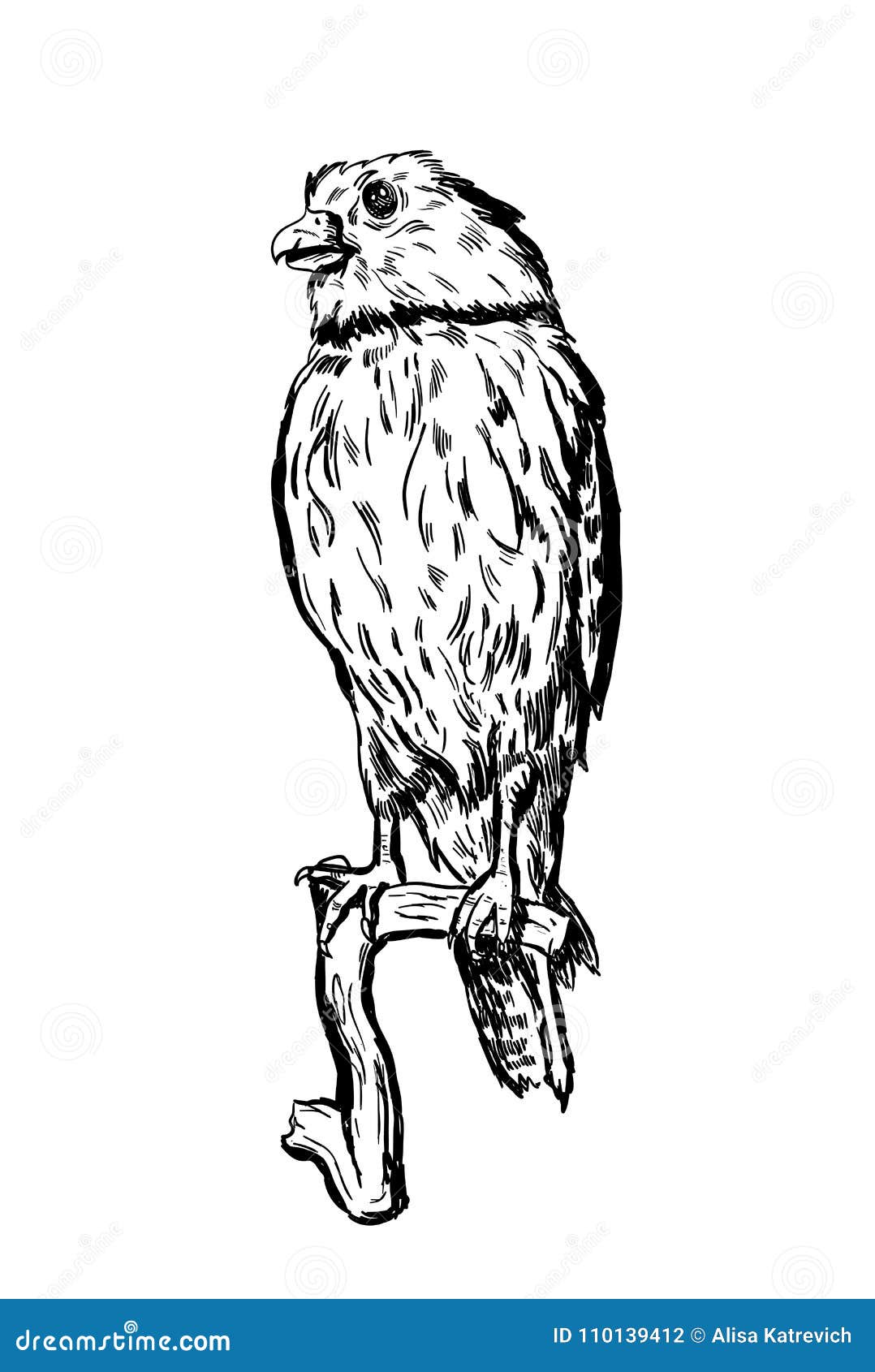 Hand Drawn Vector Bird on White Sitting on a Branch Stock Vector ...