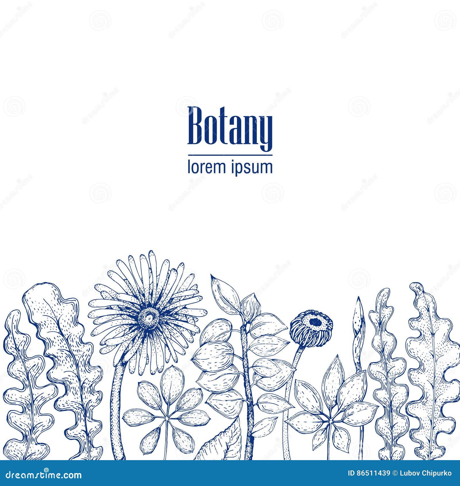 Hand Drawn Vector Botany Illustration. Vintage Background. Stock Vector ...