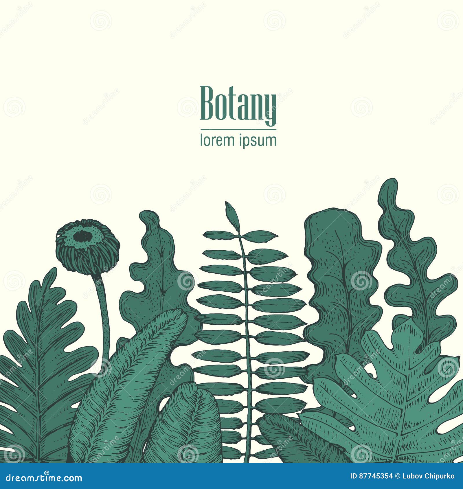 Hand Drawn Vector Botany Illustration. Vintage Background. Stock Vector ...