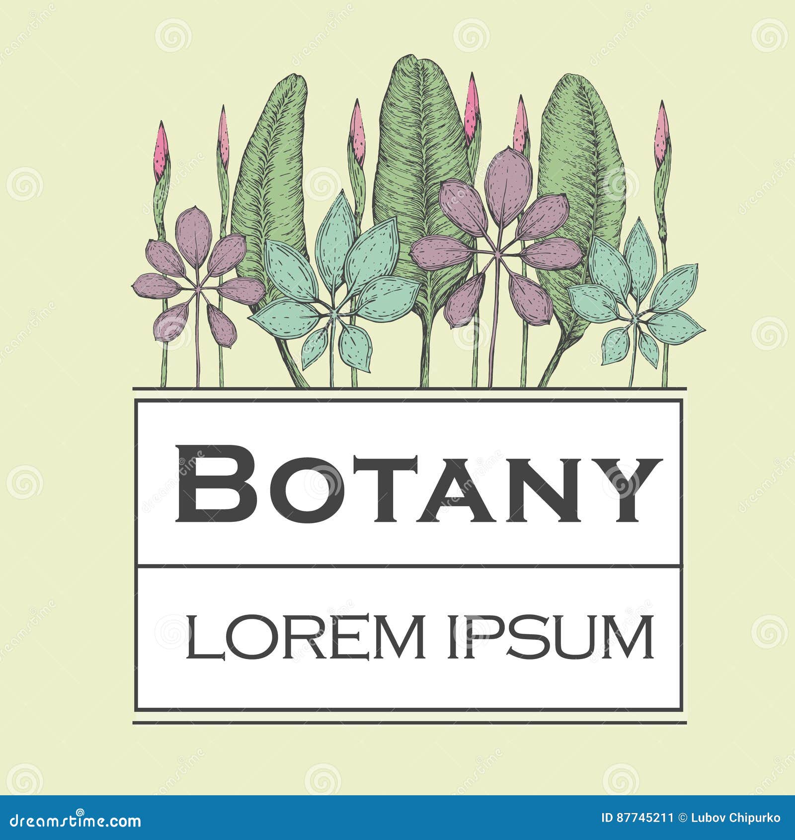 Hand Drawn Vector Botany Illustration. Vintage Background. Stock Vector ...