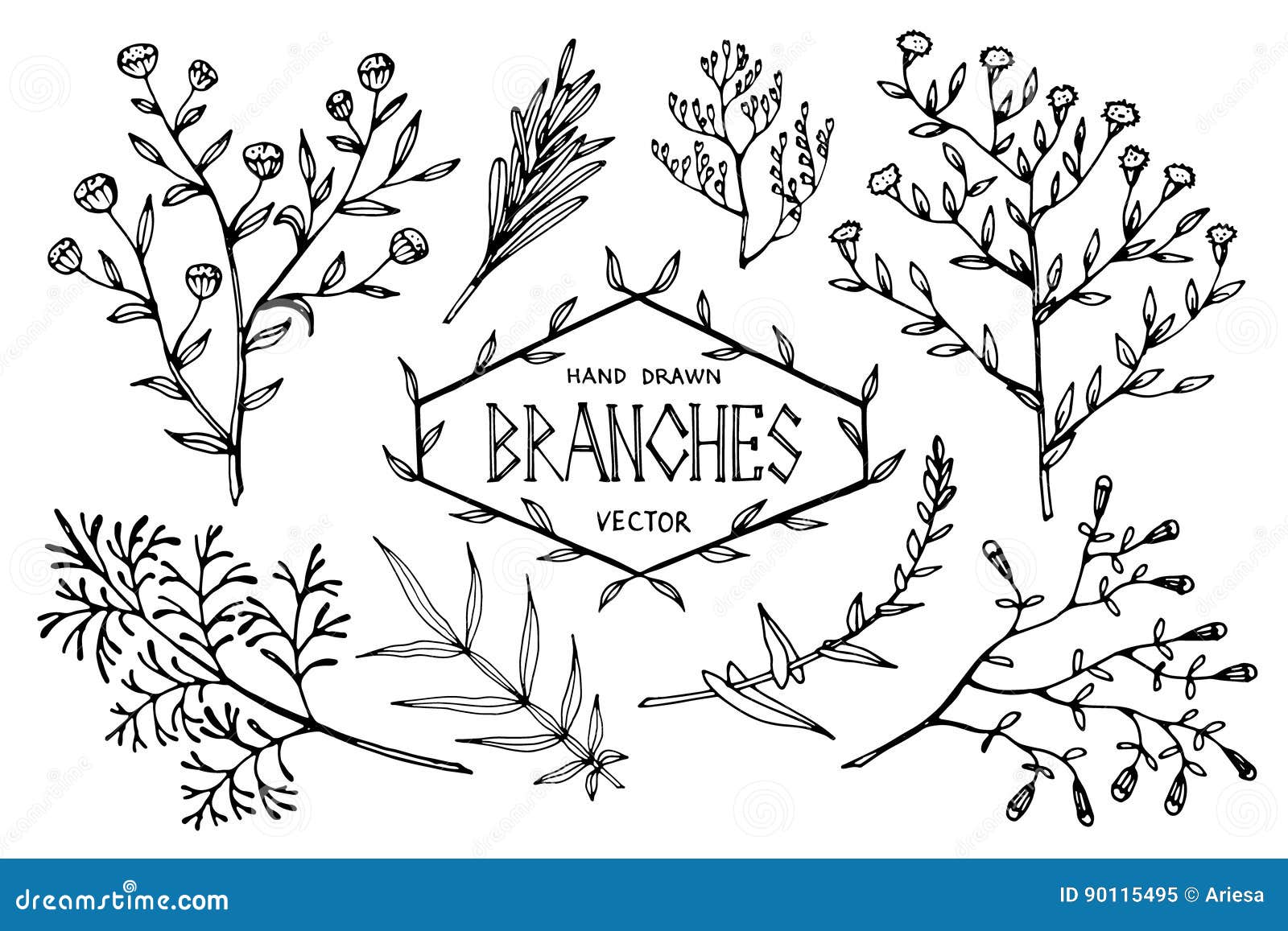 Hand Drawn Vector Branches. Stock Vector - Illustration of leaf, border ...