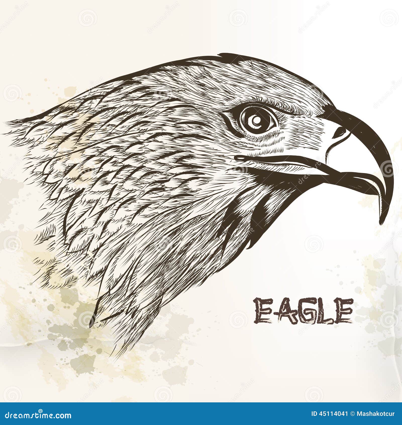 Hand drawn vector eagle stock vector. Illustration of independent ...