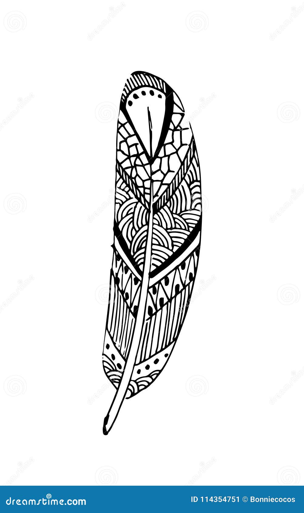 Hand Drawn Vector Feathers in Boho Style. Isolated on White Background ...