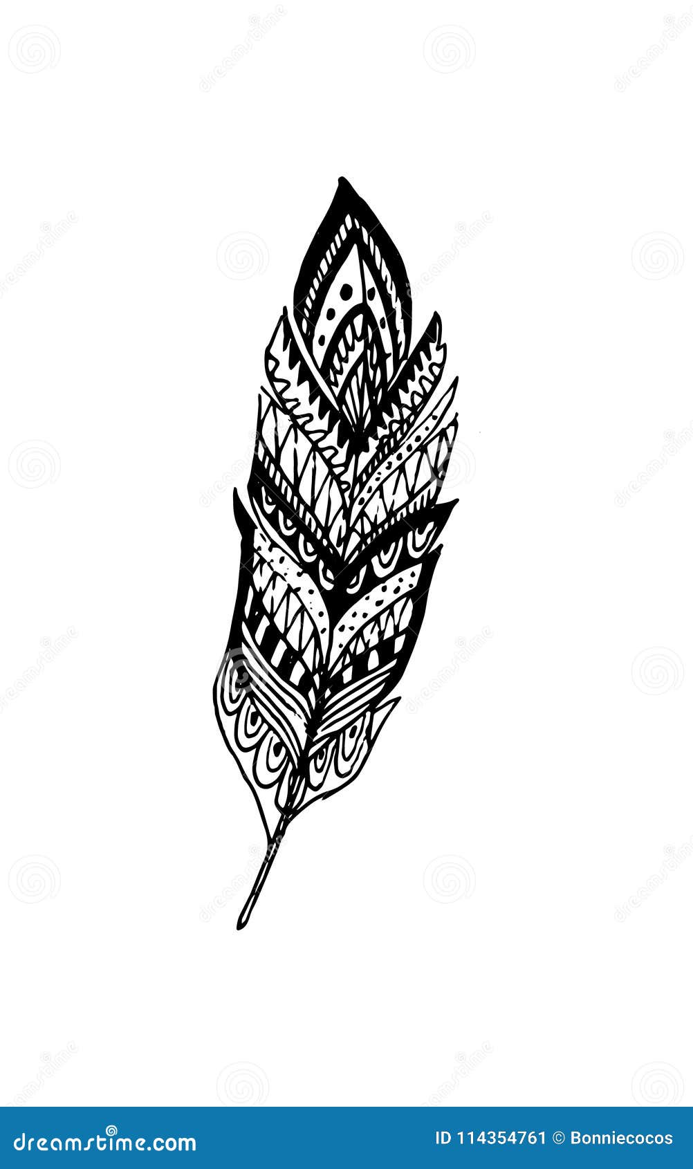 Hand Drawn Vector Feathers in Boho Style. Isolated on White Background ...