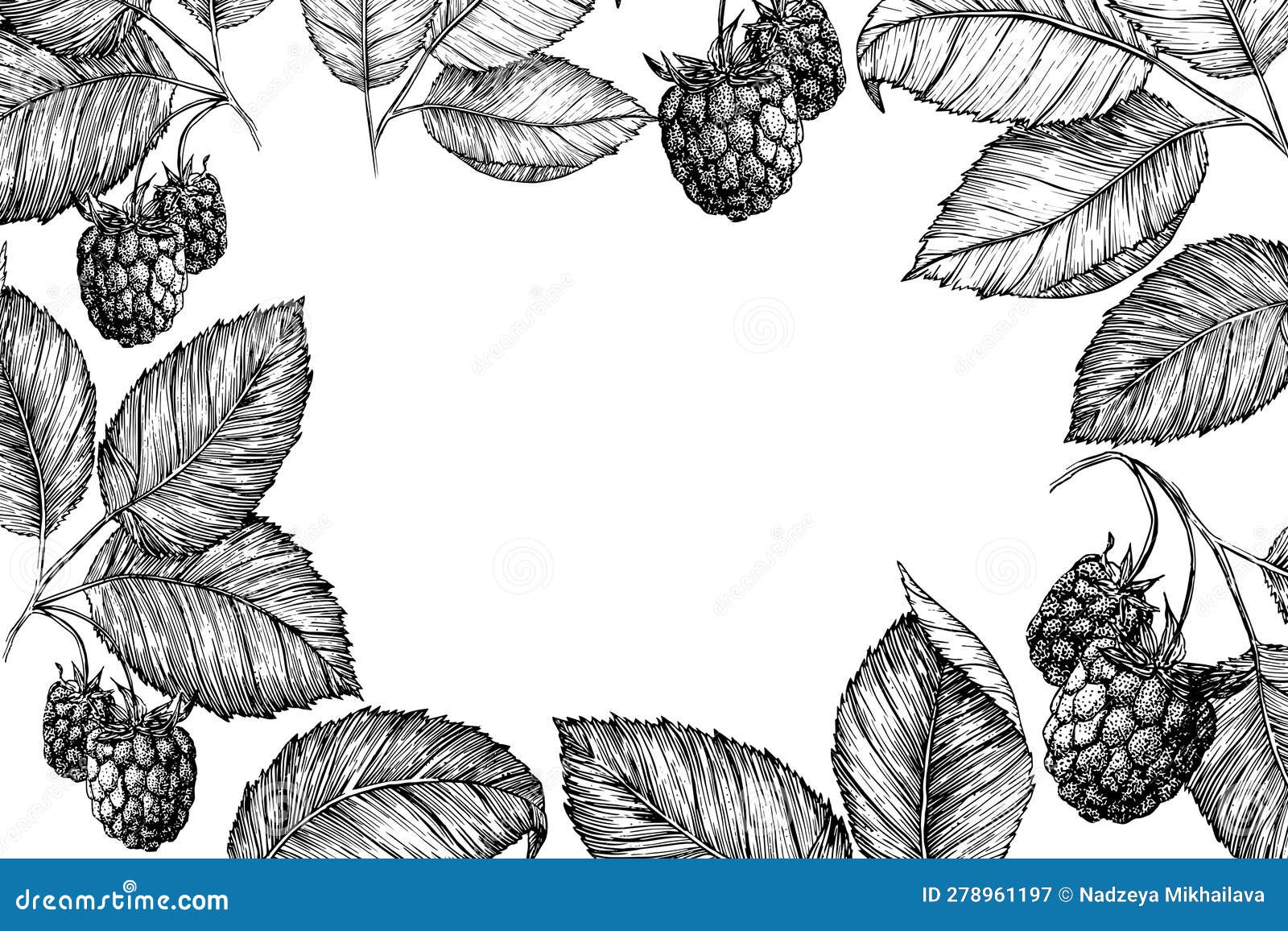 Hand Drawn Vector Frame with Raspberry Set of Elements Isolated on ...