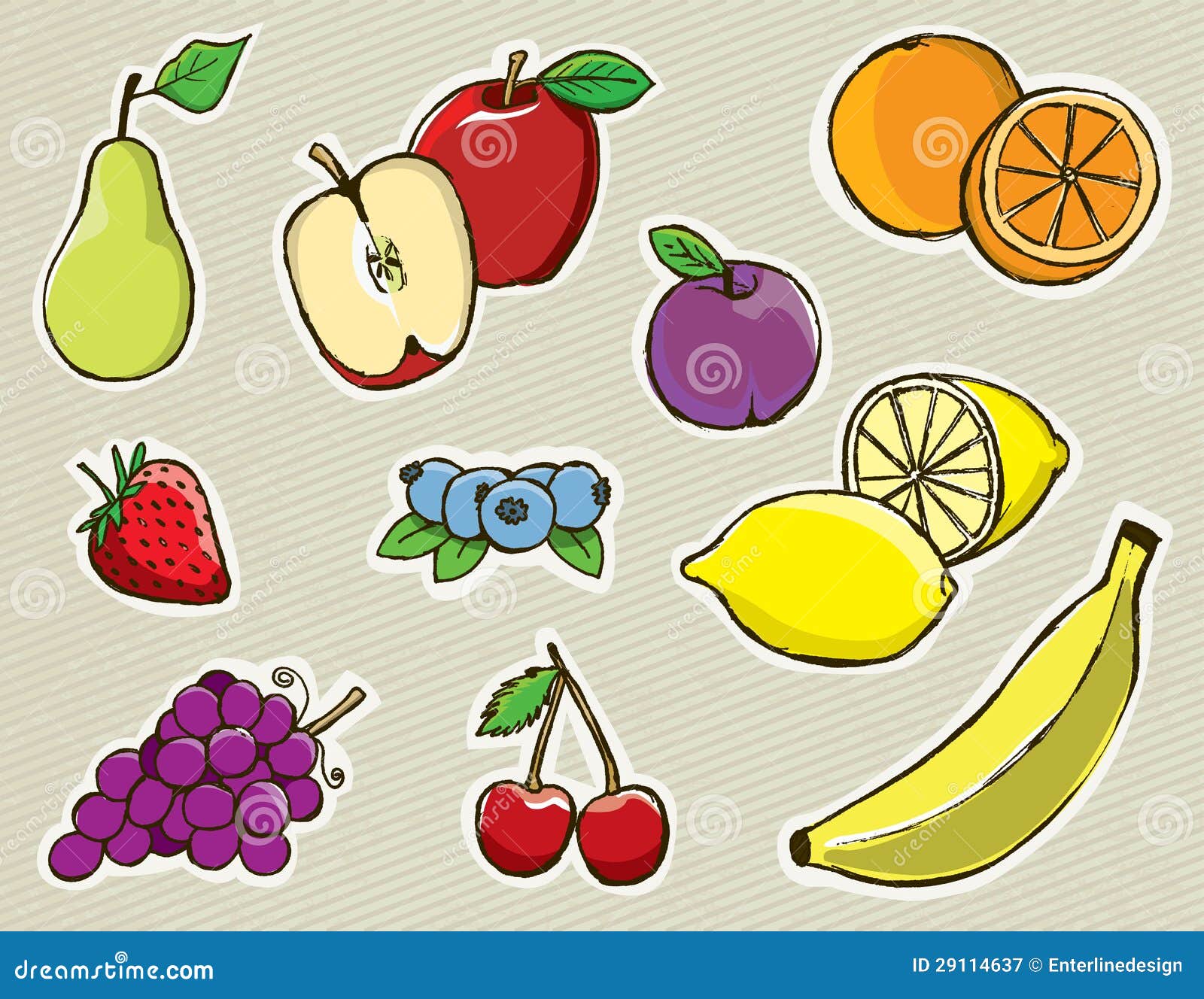Hand Drawn Vector Fruit stock vector. Illustration of eating - 29114637
