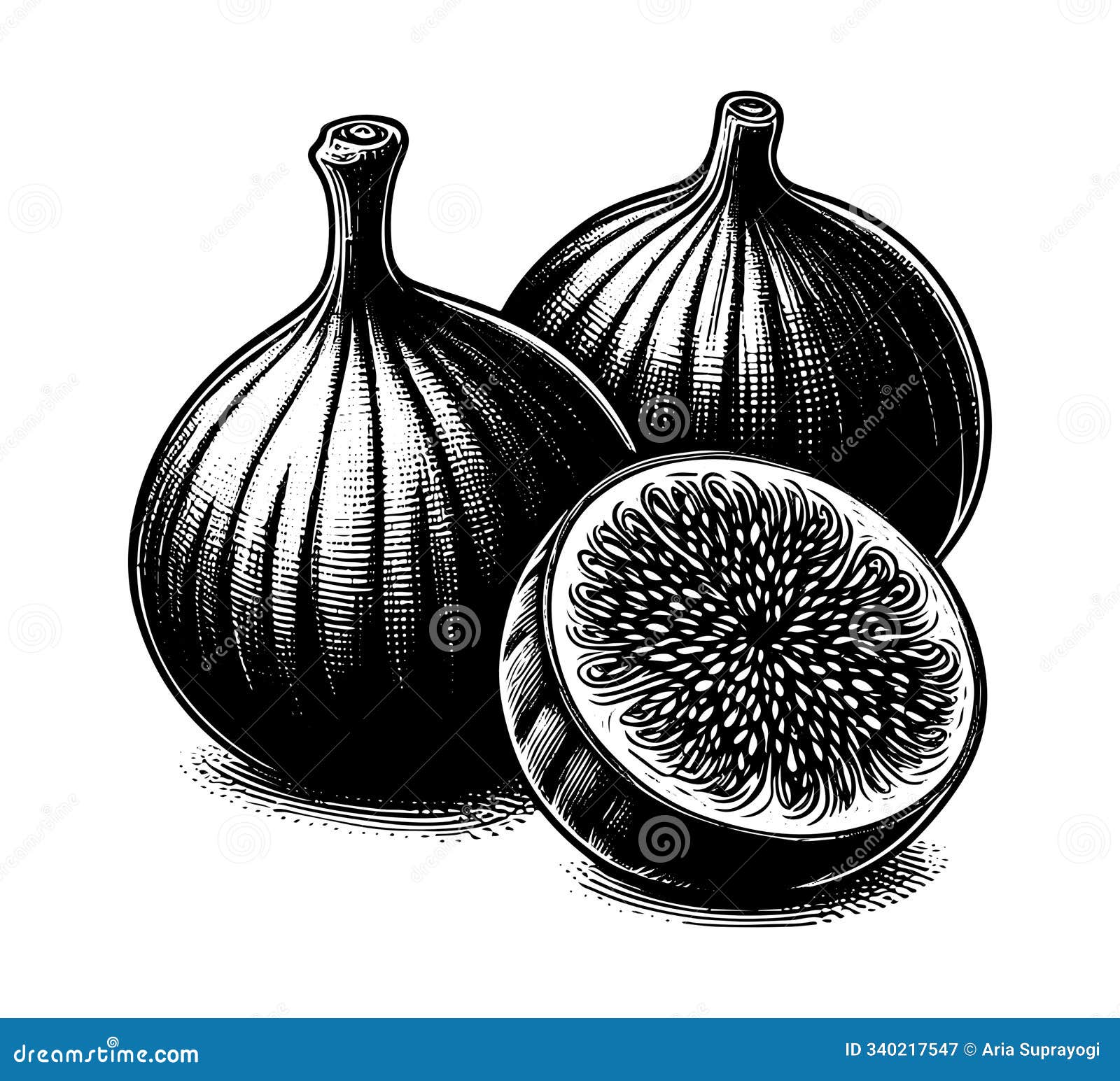 Fig Fruit Hand Drawn Vector Illustration Style Stock Illustration ...