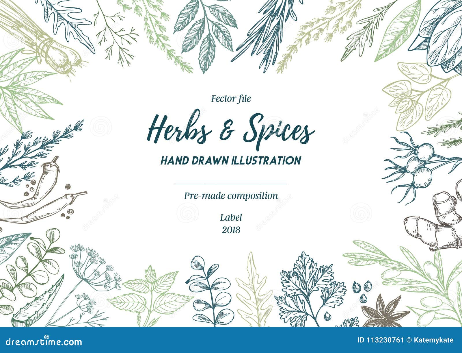 Hand Drawn Vector Illustration. Frame with Herbs and Spices Sag Stock ...