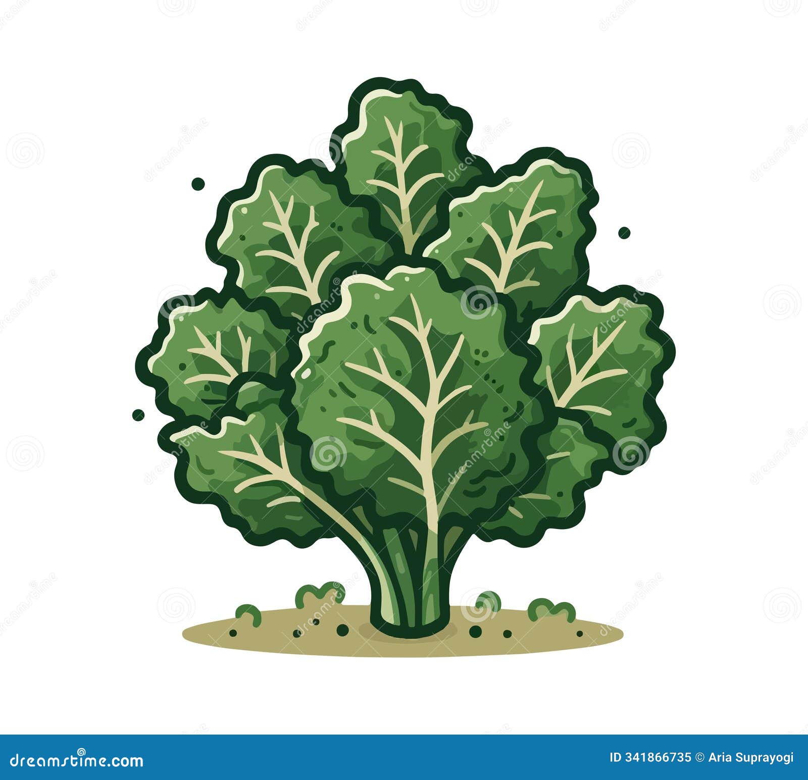 Kale Hand Drawn Vector Graphic Asset Stock Illustration - Illustration ...