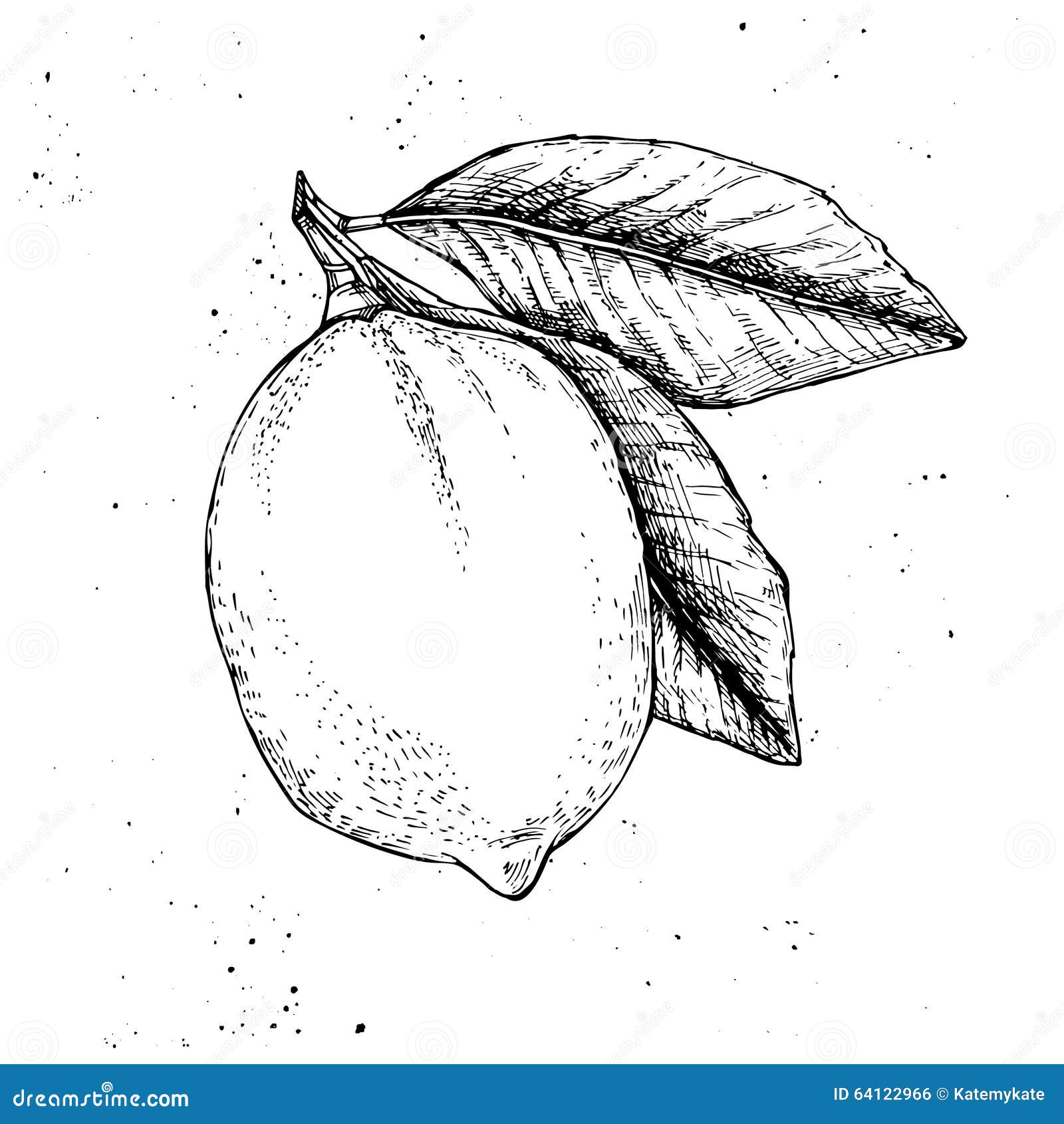 Hand Drawn Vector Illustration - Lemon Stock Vector - Illustration of ...