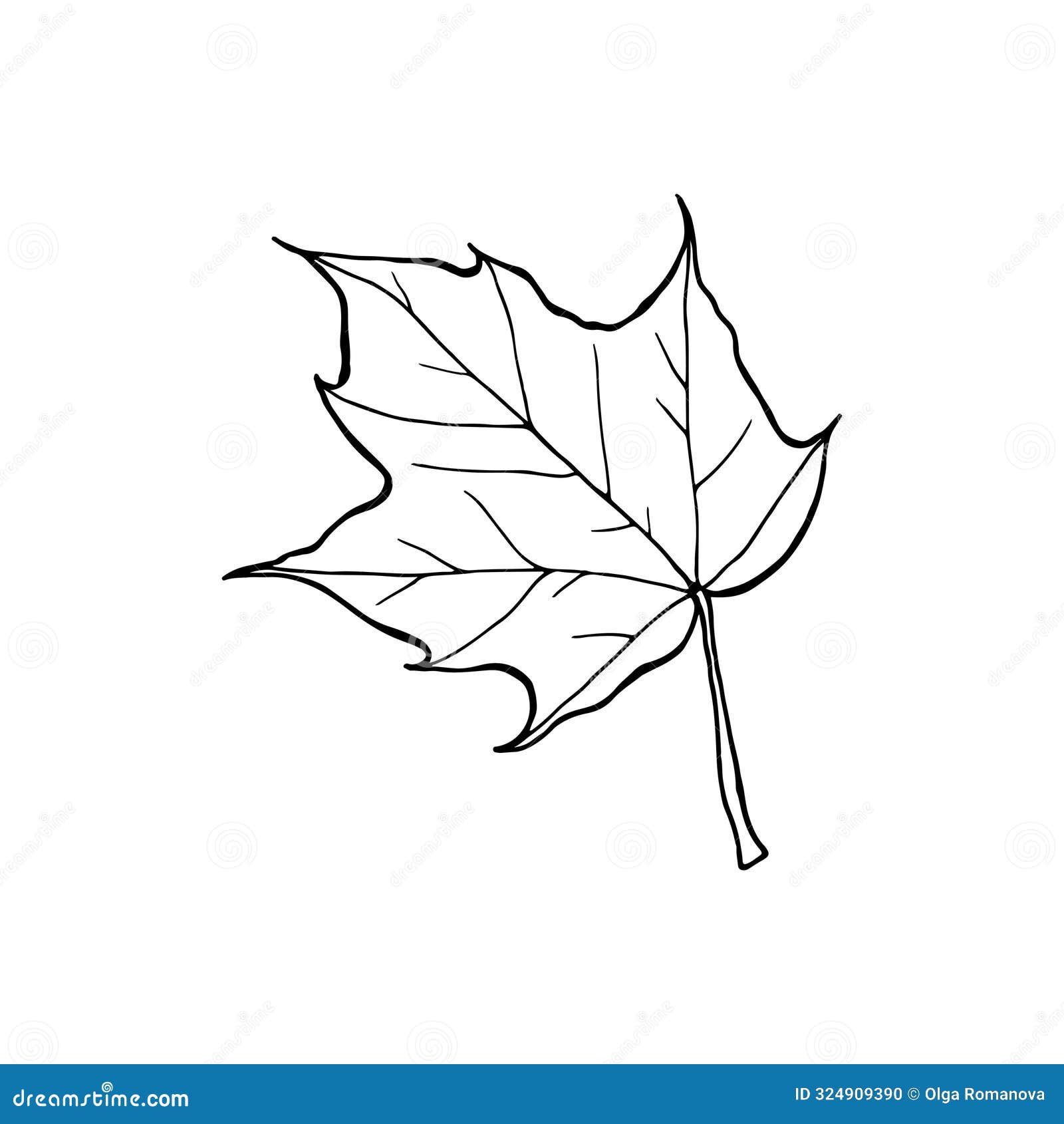 Hand Drawn Vector Illustration of Maple Leaf in Line Art Style Isolated ...