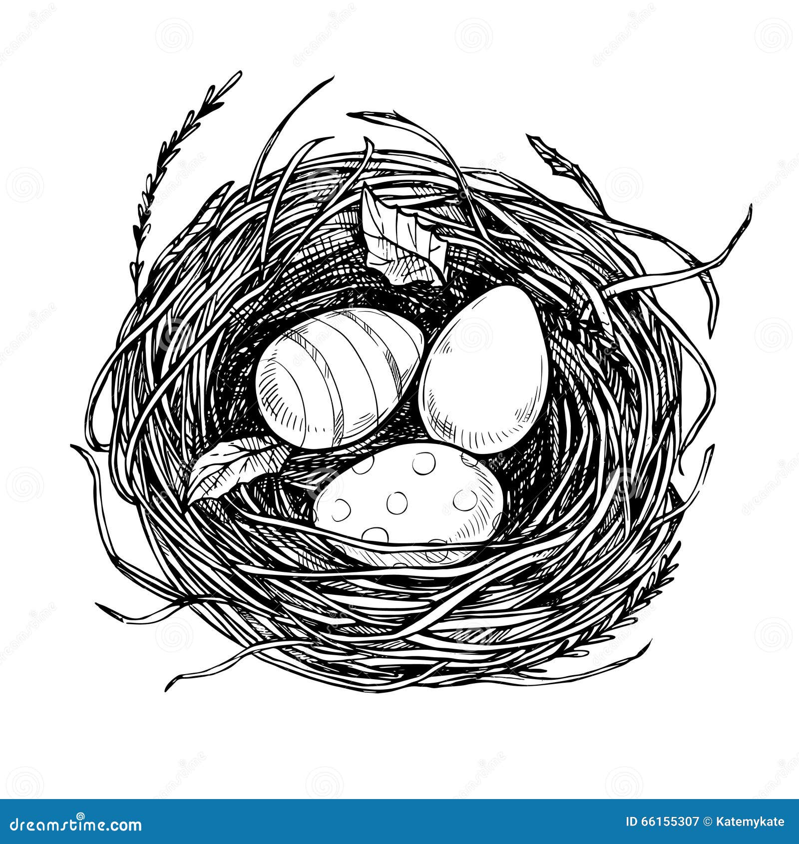 Nest Drawing Clipart