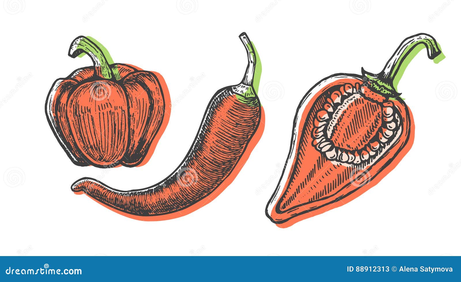 Hand Drawn Vector Illustration of Peppers Set Sketch Style. Doodle ...