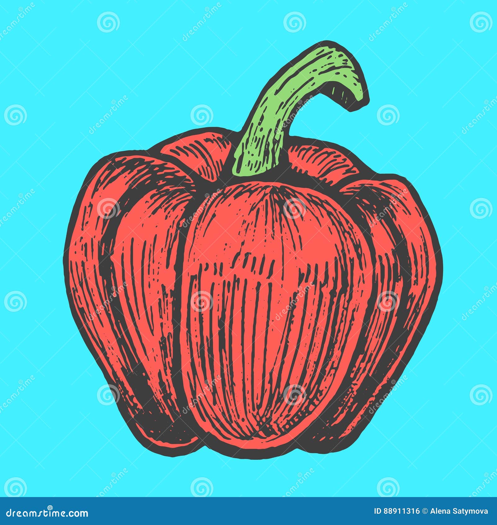 Hand Drawn Vector Illustration of Red Pepper Sketch Style. Doodle ...