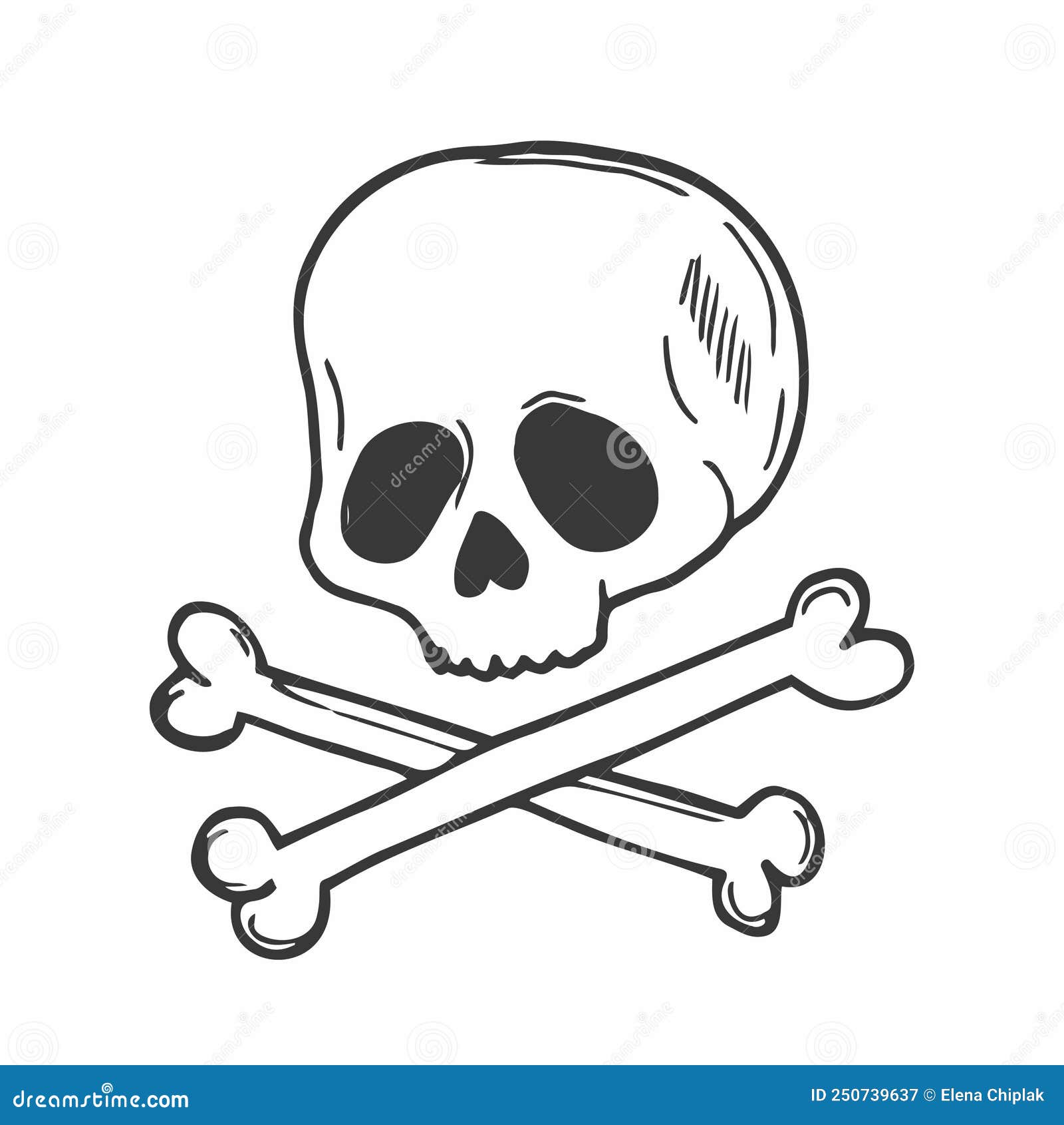 Hand Drawn Vector Illustration of Scull with Bones. Isolated on White ...